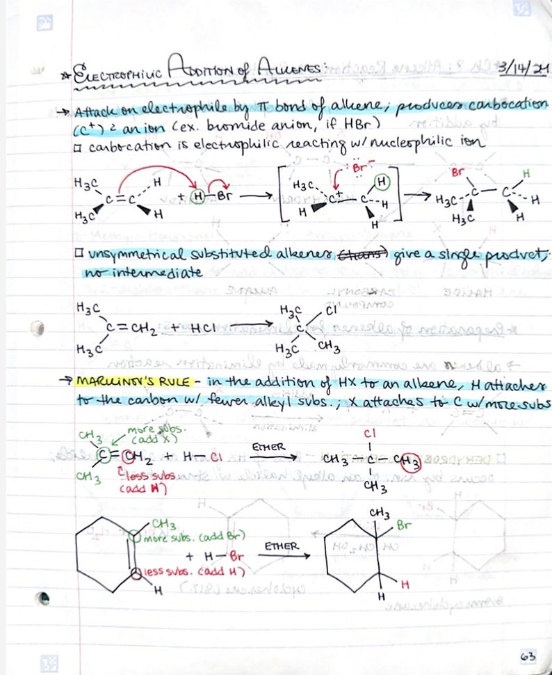 Organic Chemistry 1 Notes (100+ Pages With Practice Problems) - Etsy