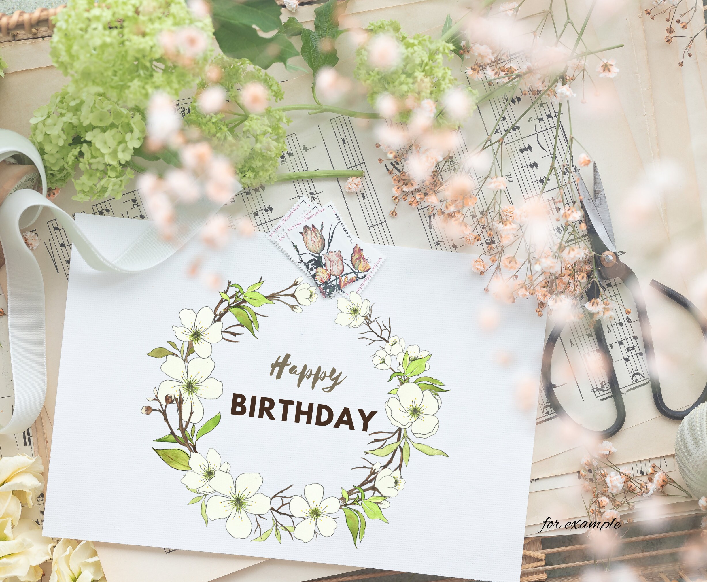 Watercolor White Cherry Blossom PNG Sakura Blossom Clipart Spring ...