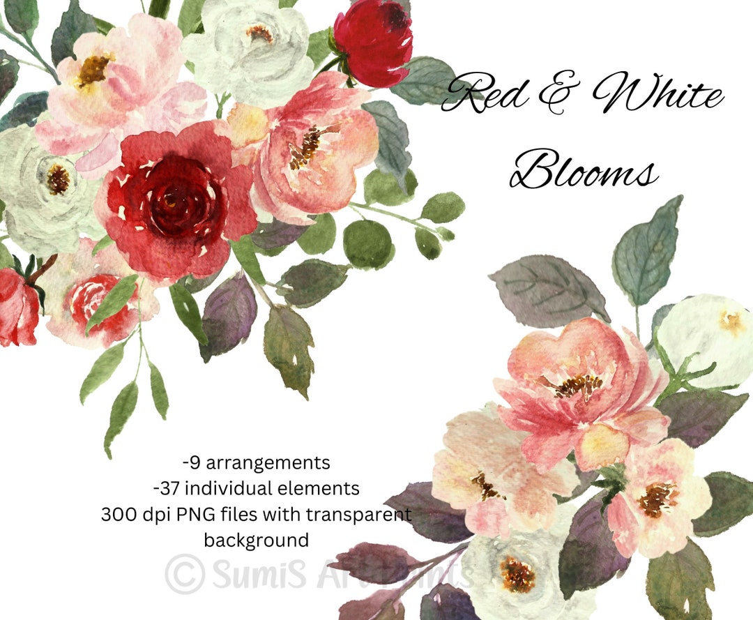Watercolor Red and White Roses Clipart Floral Bouquet PNG - Etsy