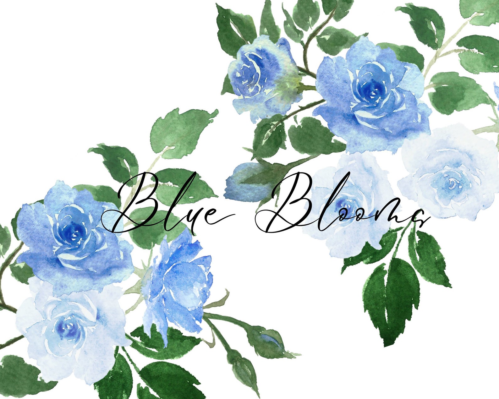 Watercolor Blue Rose PNG Boho Blue Flower Clipart Blue Peony Printable ...