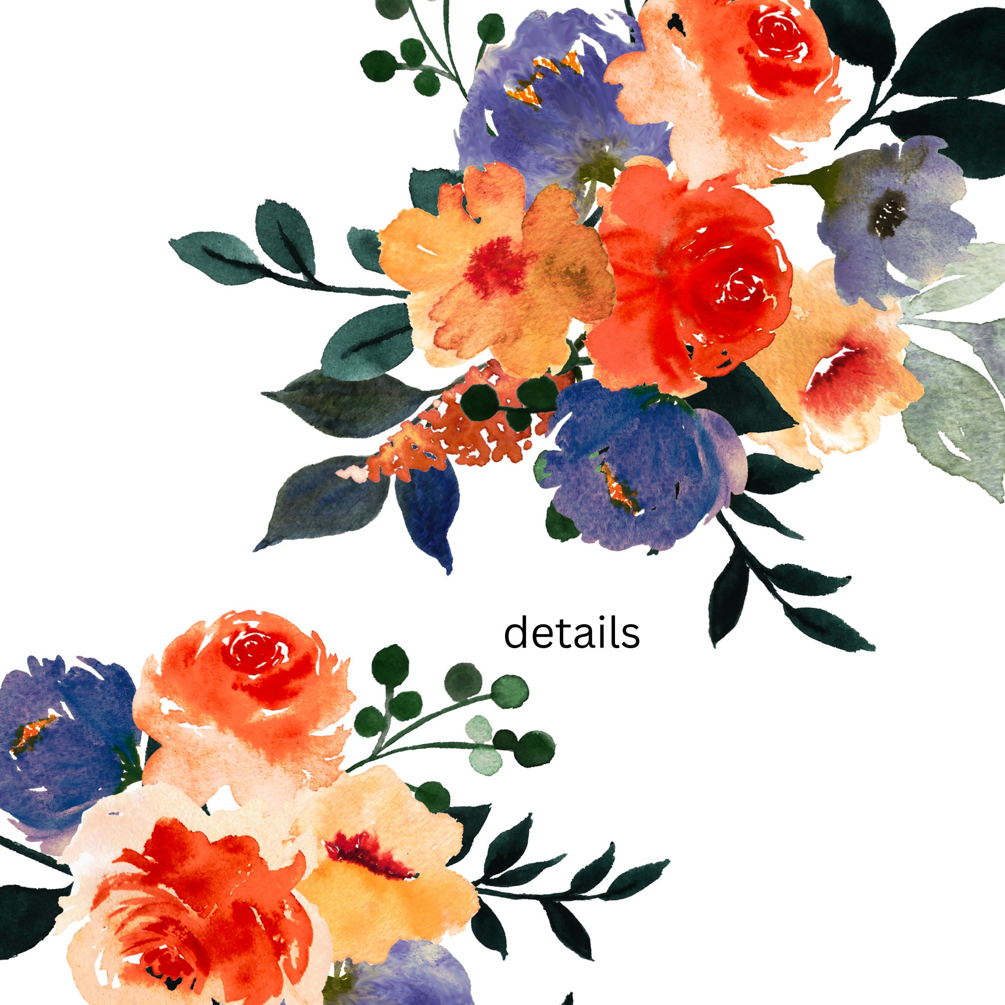 Blue Rust Orange Watercolor Flowers Clip Art Navy Blue Burnt Orange ...