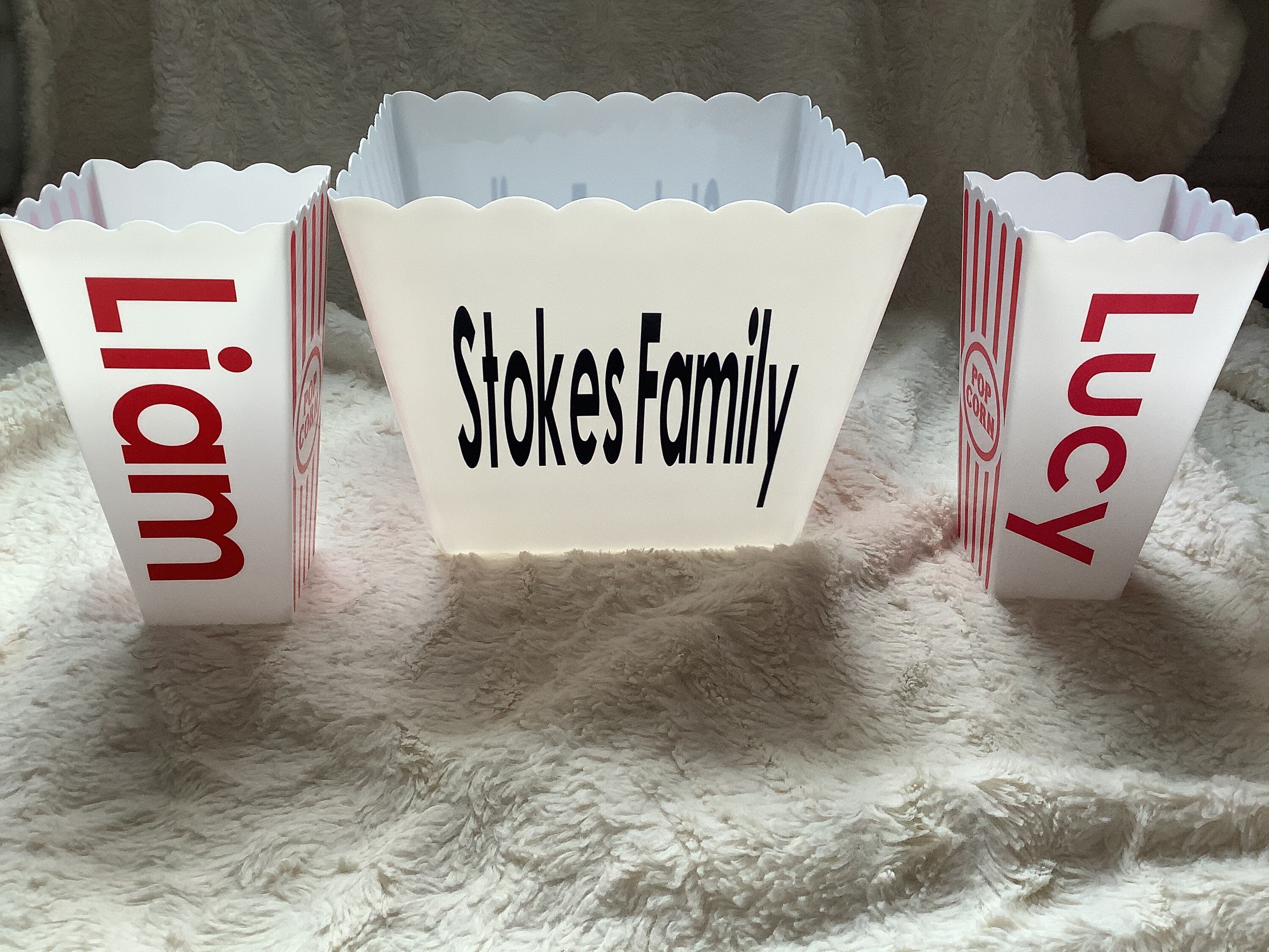 Personalized Popcorn Bucket/Reusable Popcorn Bucket/Family | Etsy