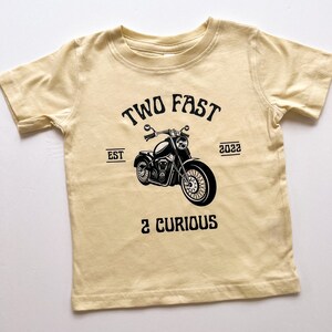 Two Fast Too Curious Birthday Shirt, Second Birthday Shirt, Boys 2nd ...