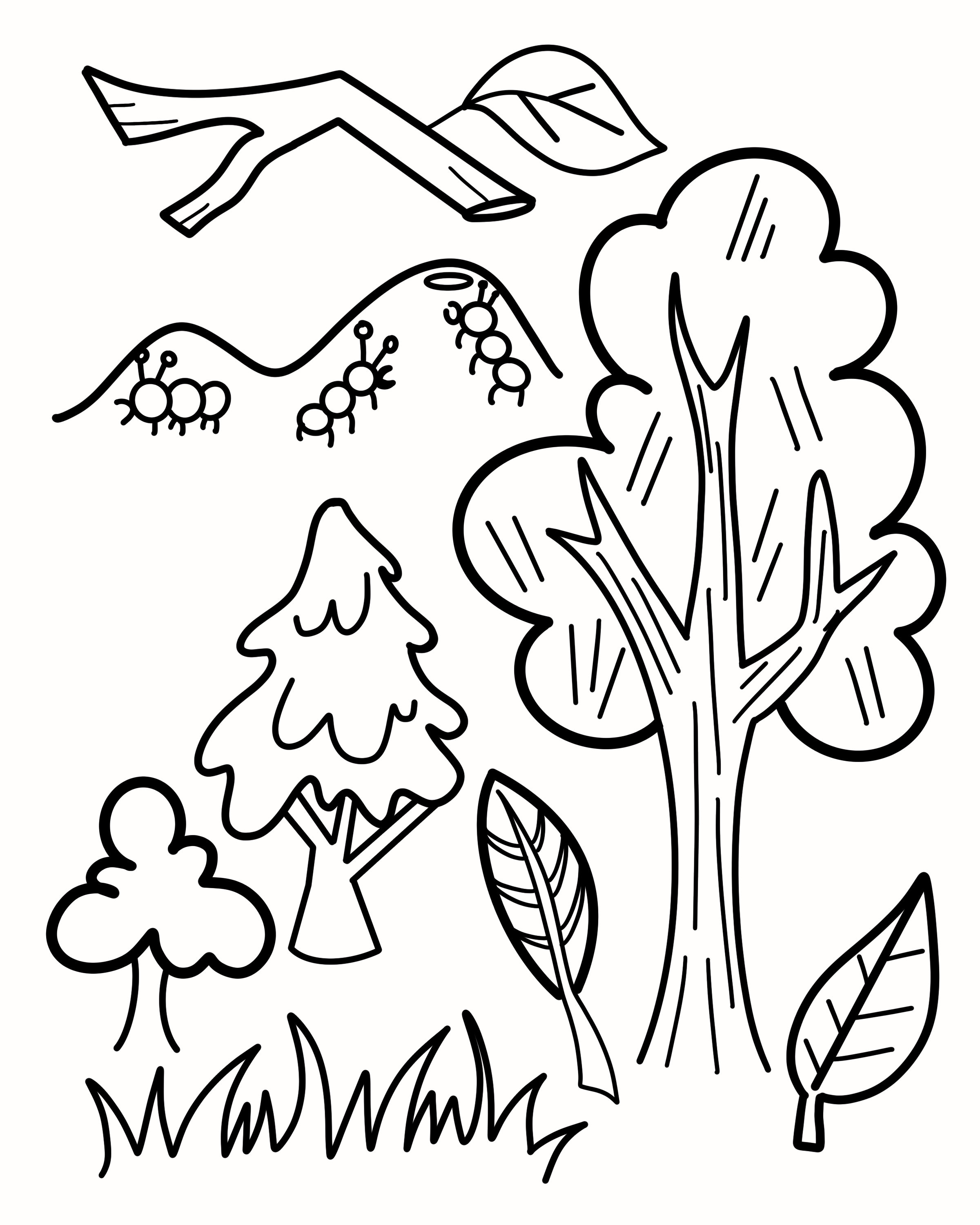 Printable Kids Coloring Pages Outdoors Fishing Theme - Etsy