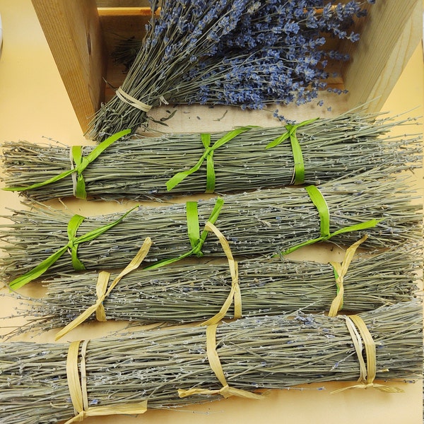 Dried Lavender - Etsy