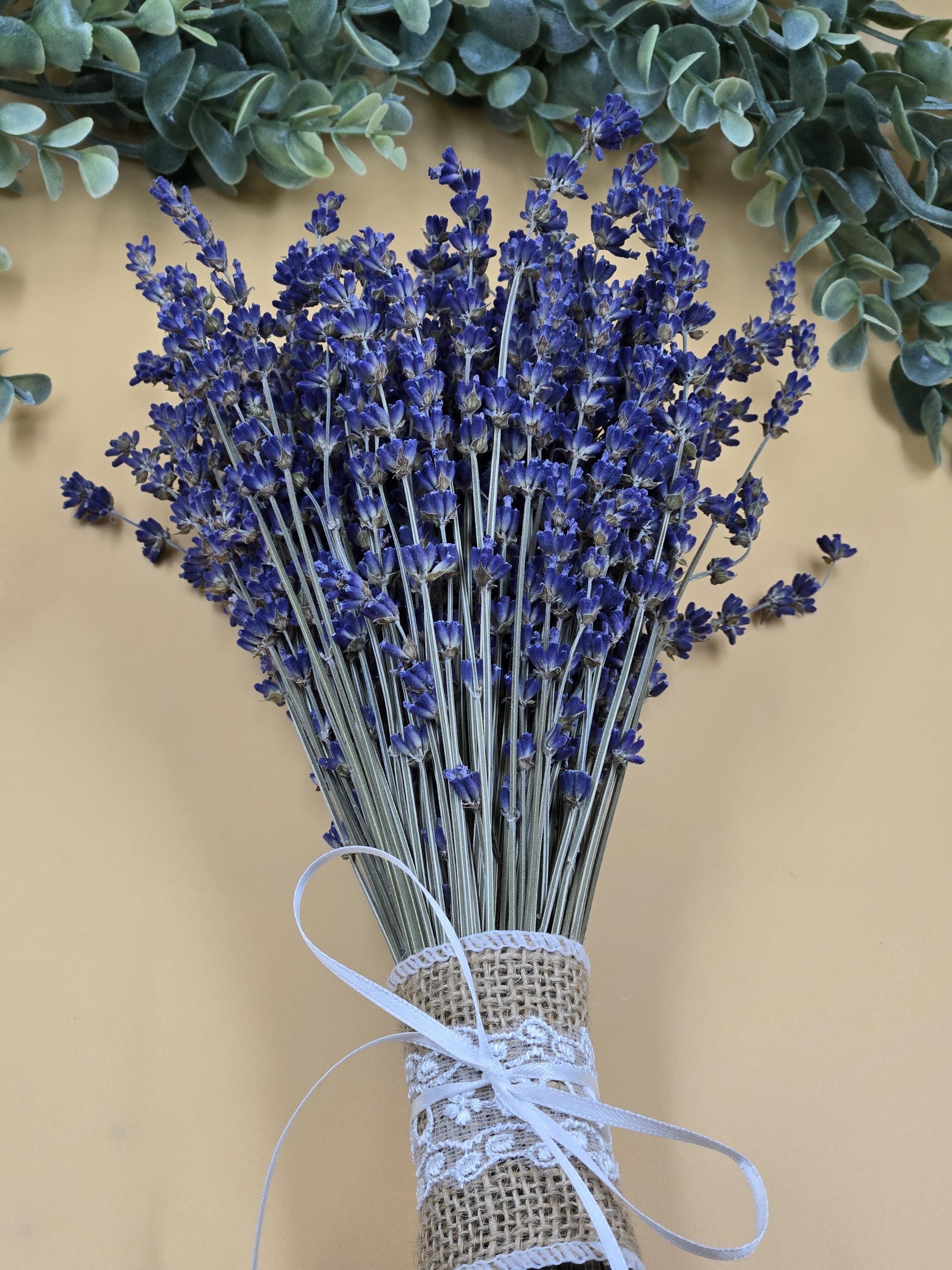 Dried English Lavender Bundle – 100+ Stems 2025 Harvest Rustic Wedding ...