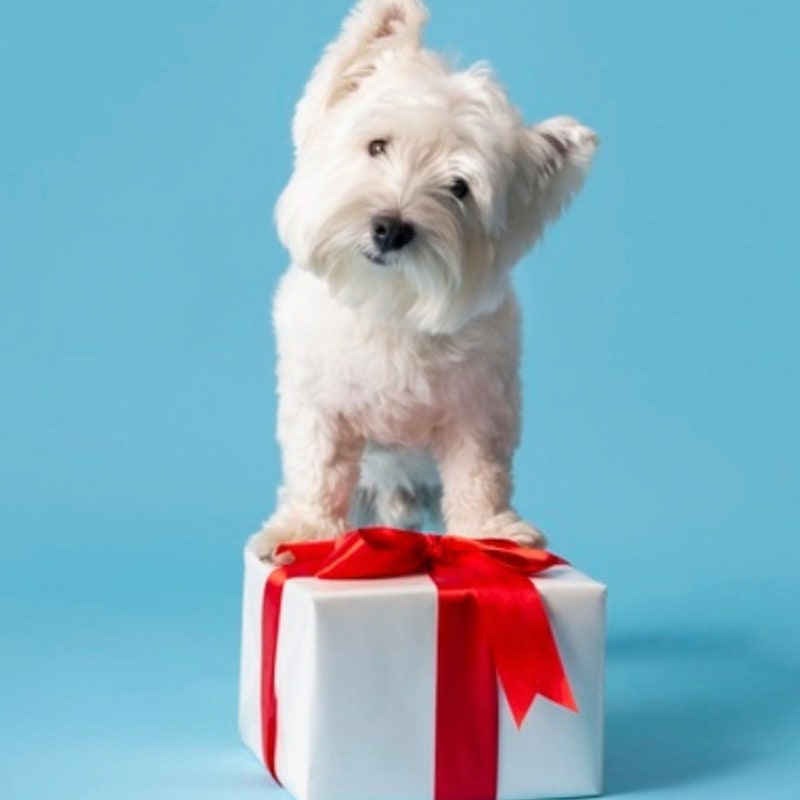 OfficialWoofCo - Etsy