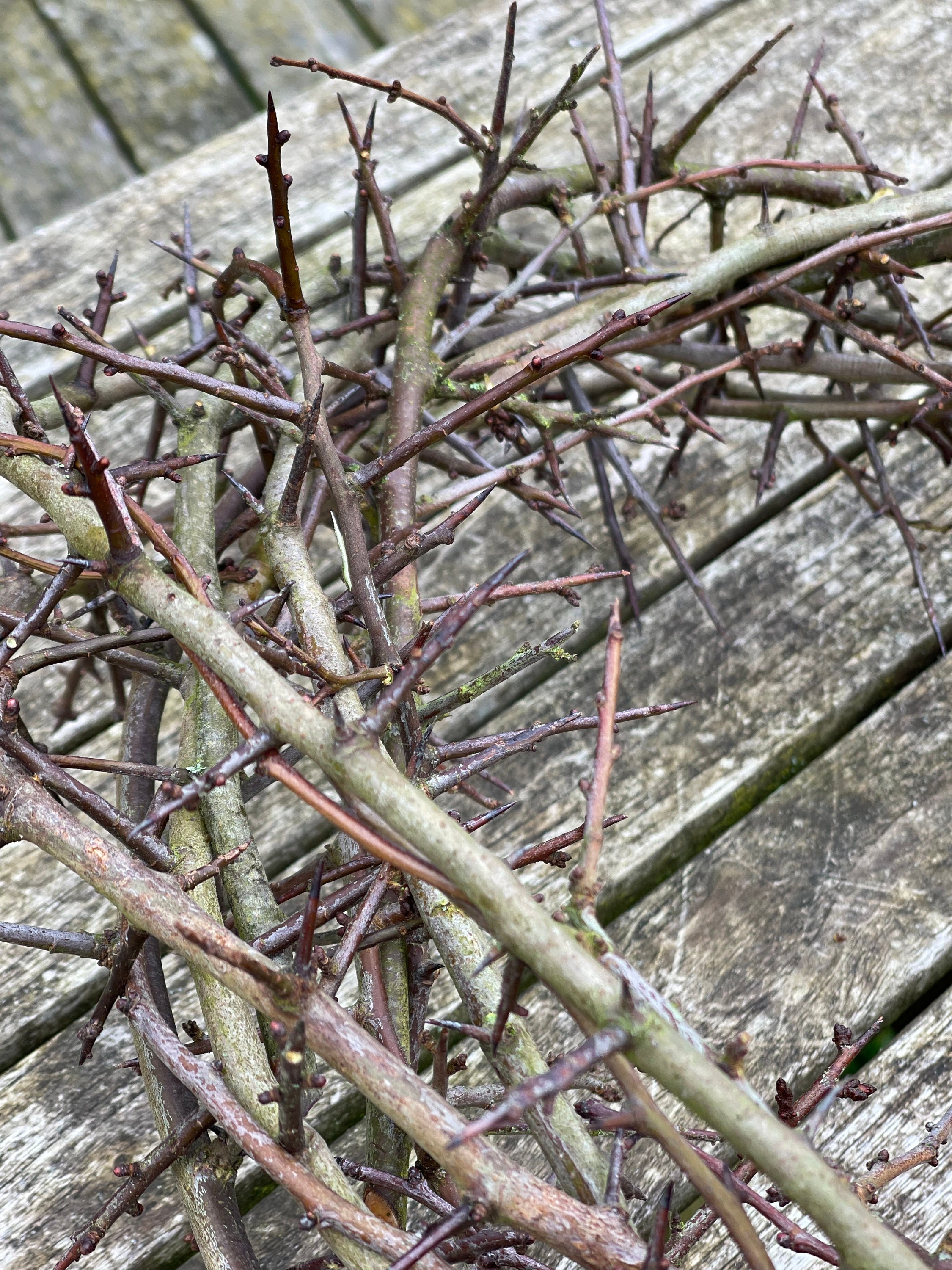 Real Handmade Thorn Crown - Etsy UK