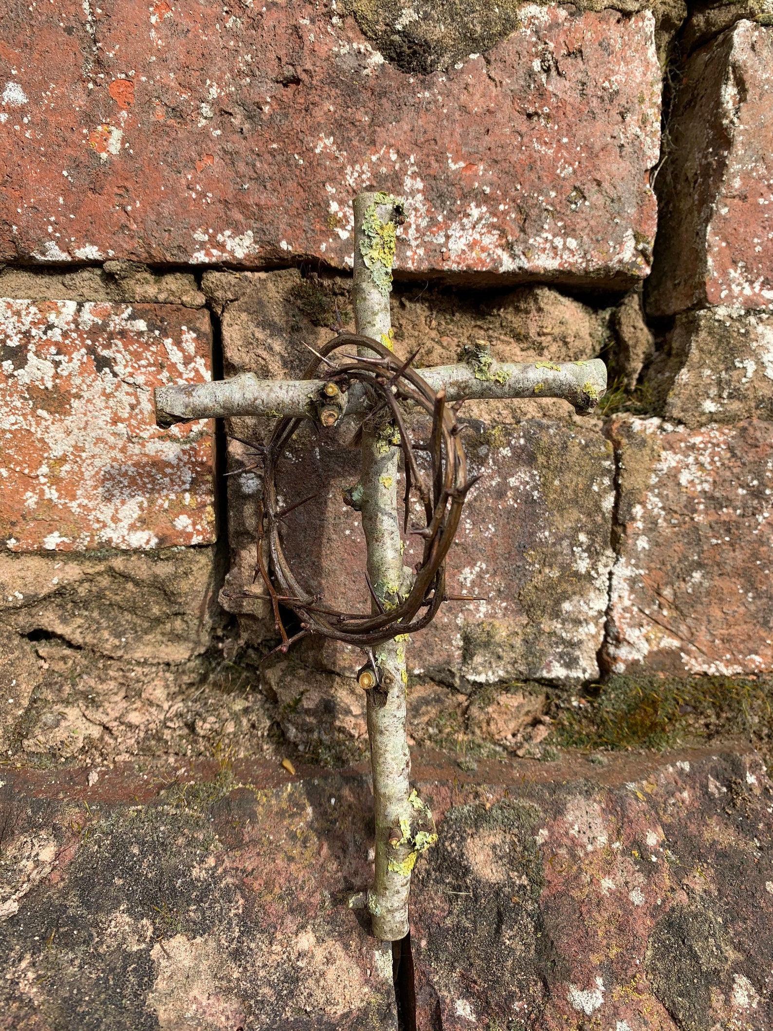 Small Thorn Crown - Etsy