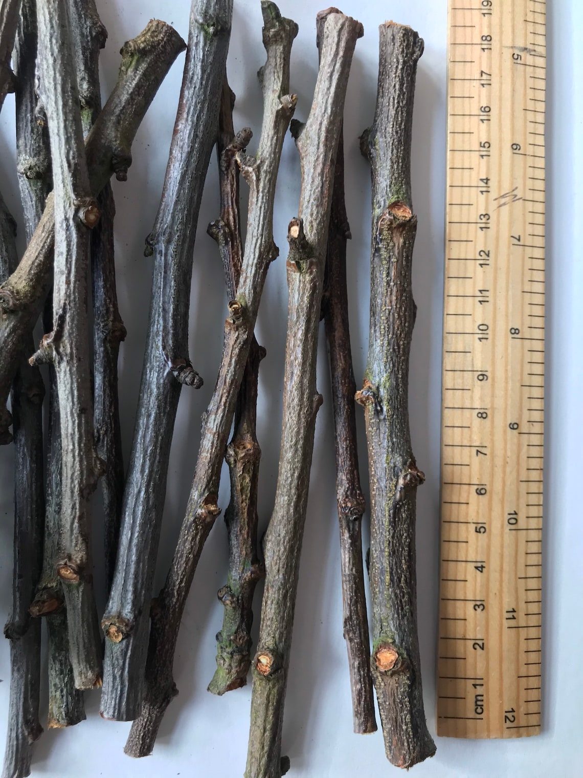 Natural Sticks and Twigs - Etsy UK