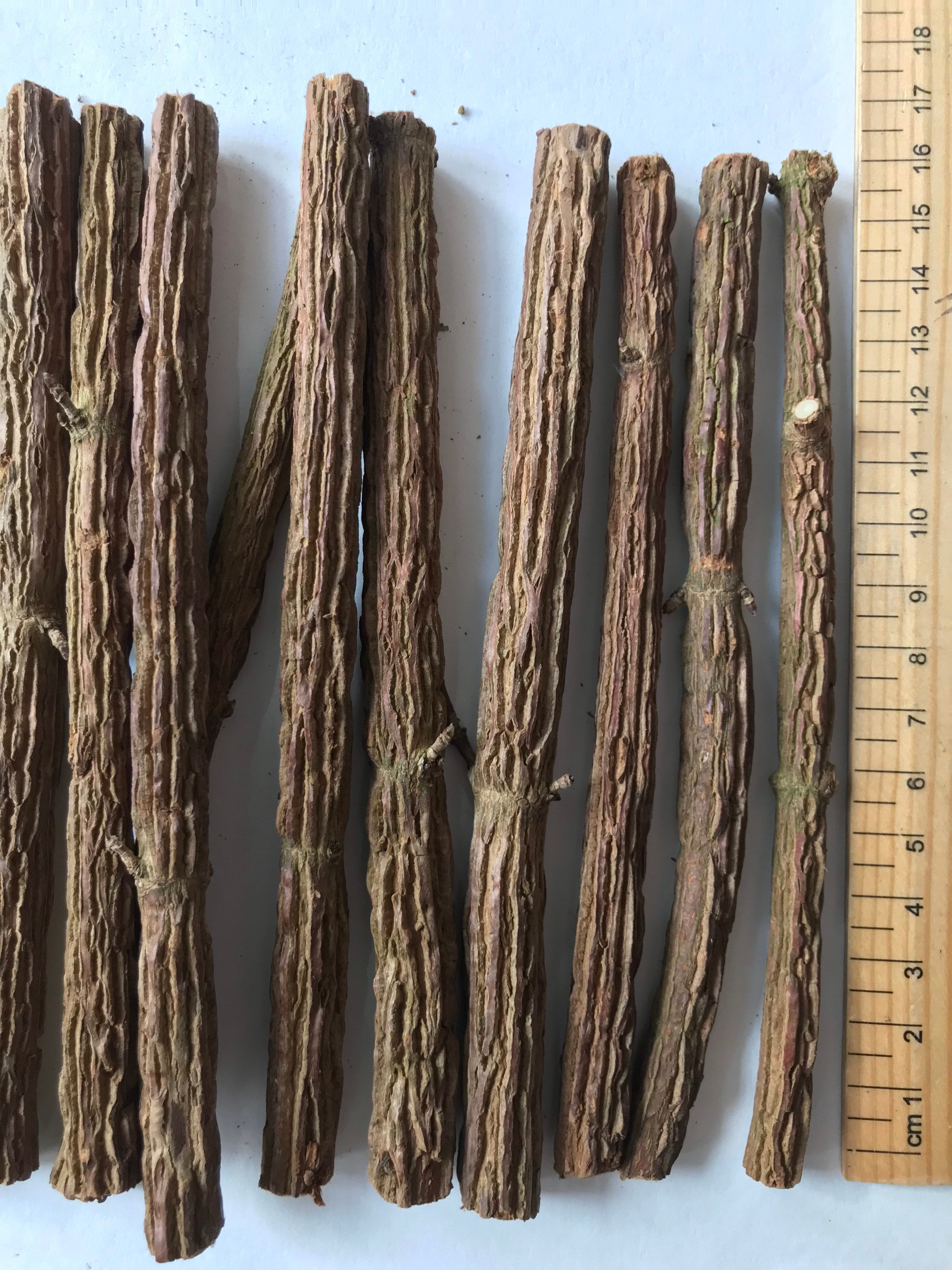 Natural Sticks and Twigs - Etsy UK