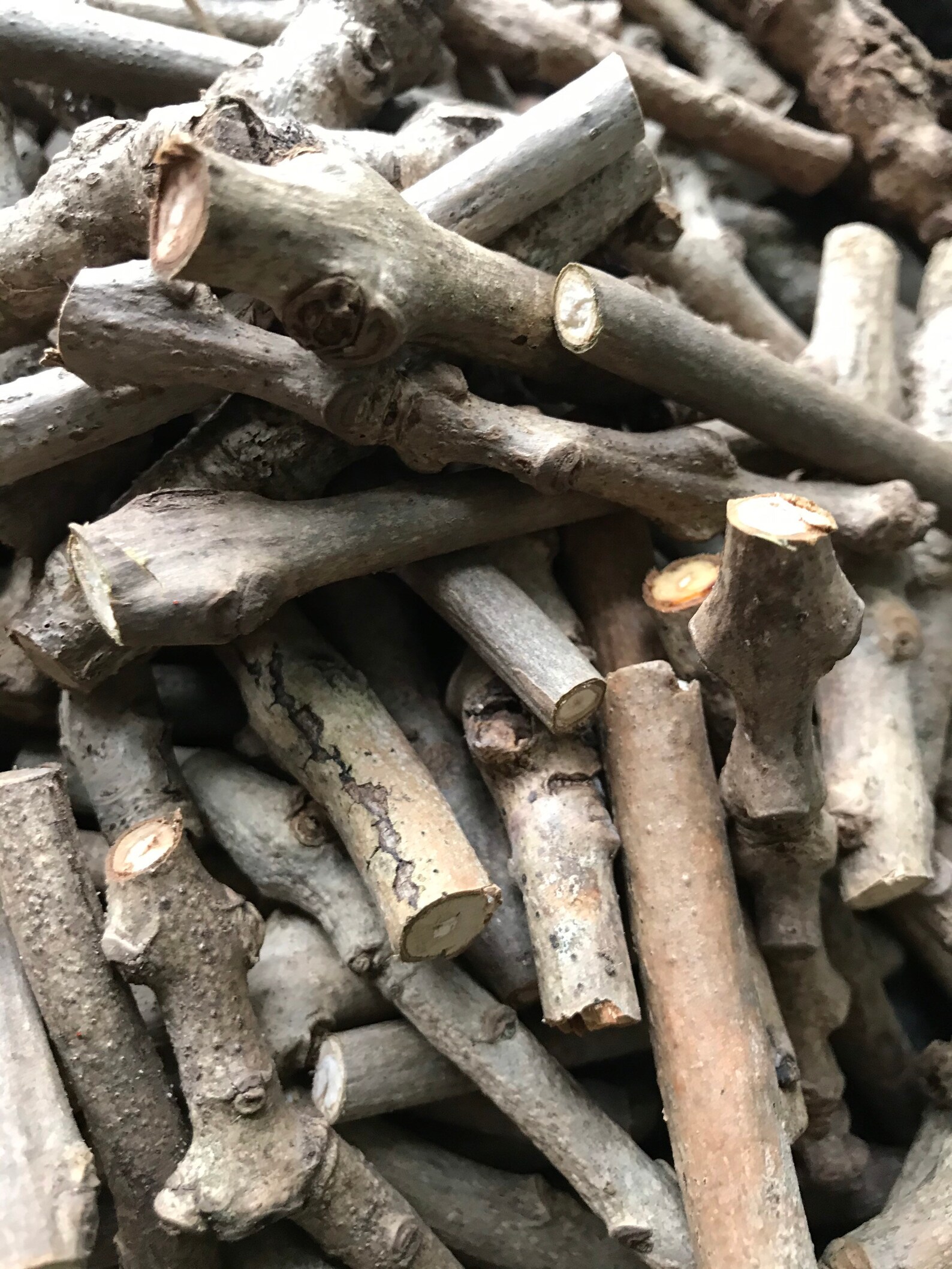 Natural Sticks and Twigs - Etsy UK