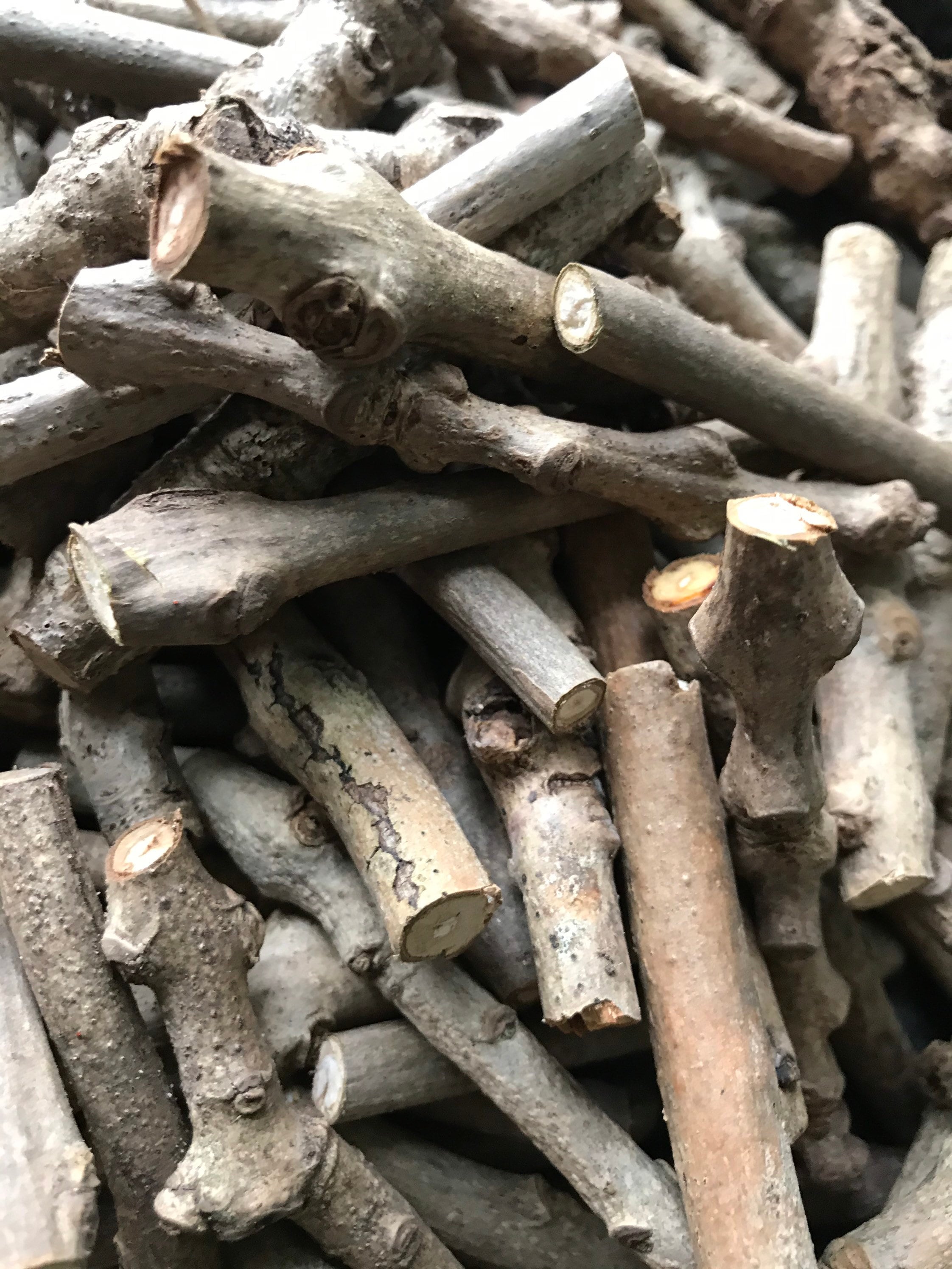 Natural Sticks and Twigs - Etsy UK