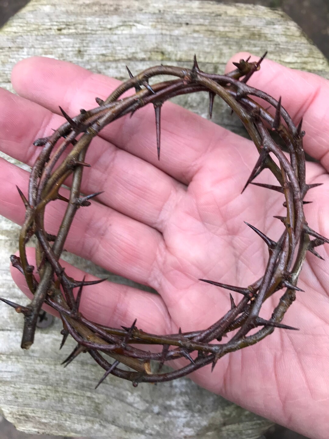 Small Thorn Crown - Etsy