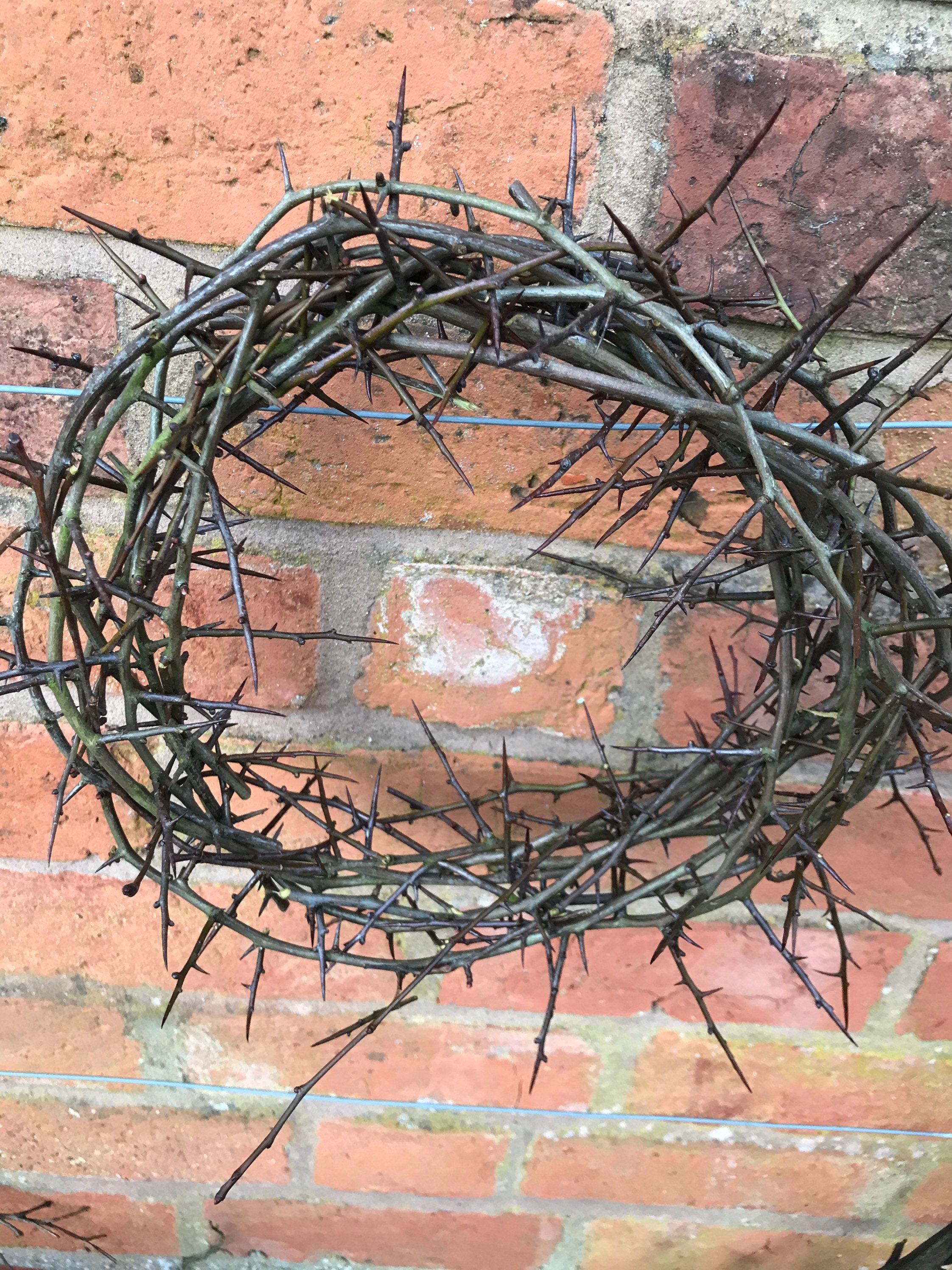 Real Handmade Thorn Crown - Etsy UK