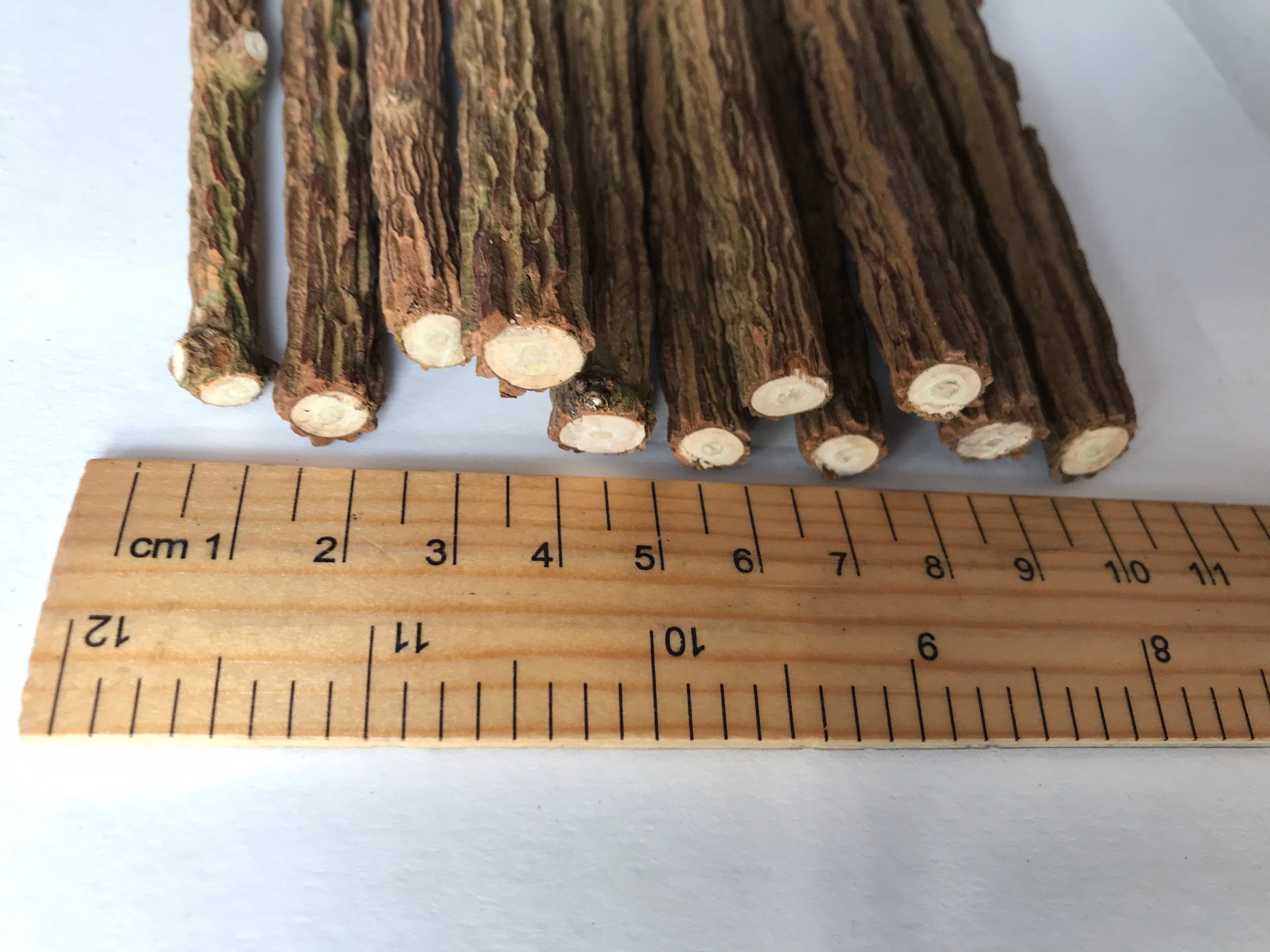 Natural Sticks and Twigs - Etsy UK