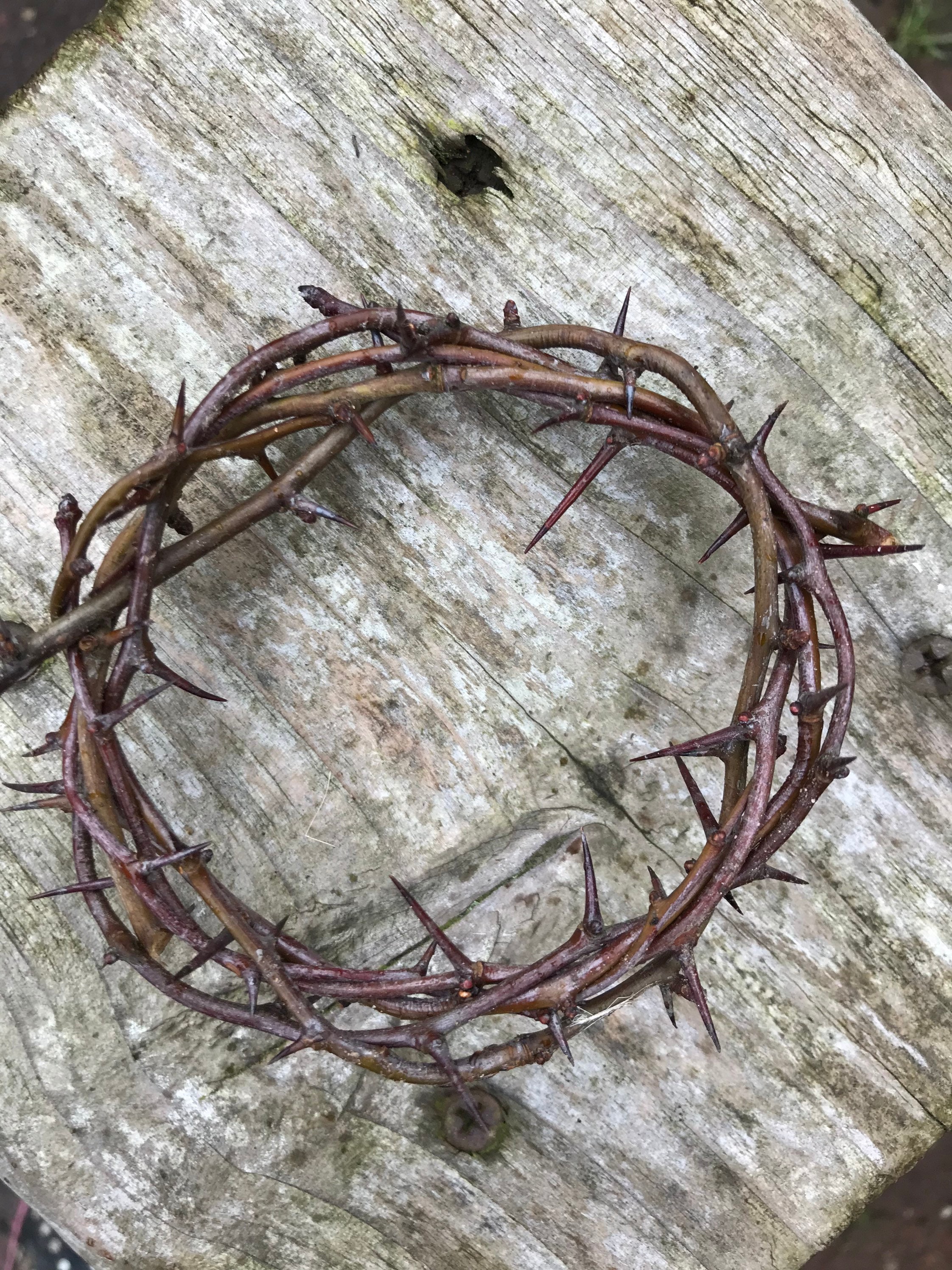 Small Thorn Crown - Etsy
