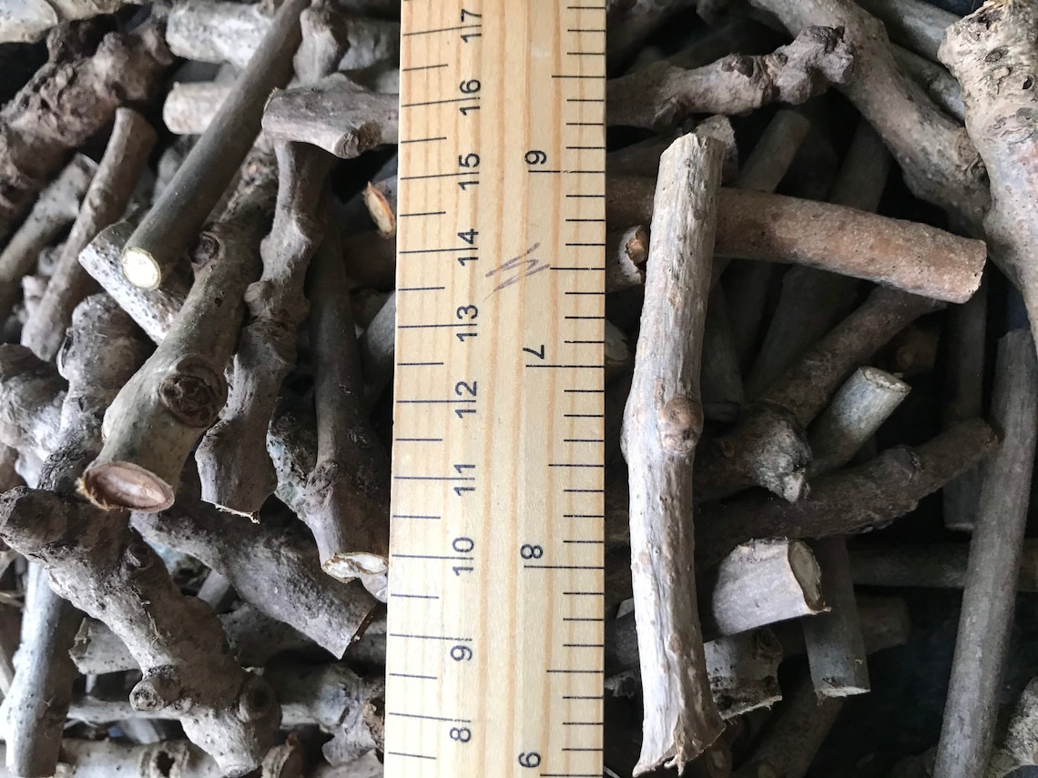 Natural Sticks and Twigs - Etsy UK