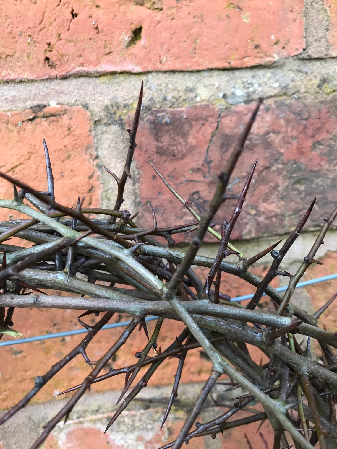 Real Handmade Thorn Crown - Etsy UK