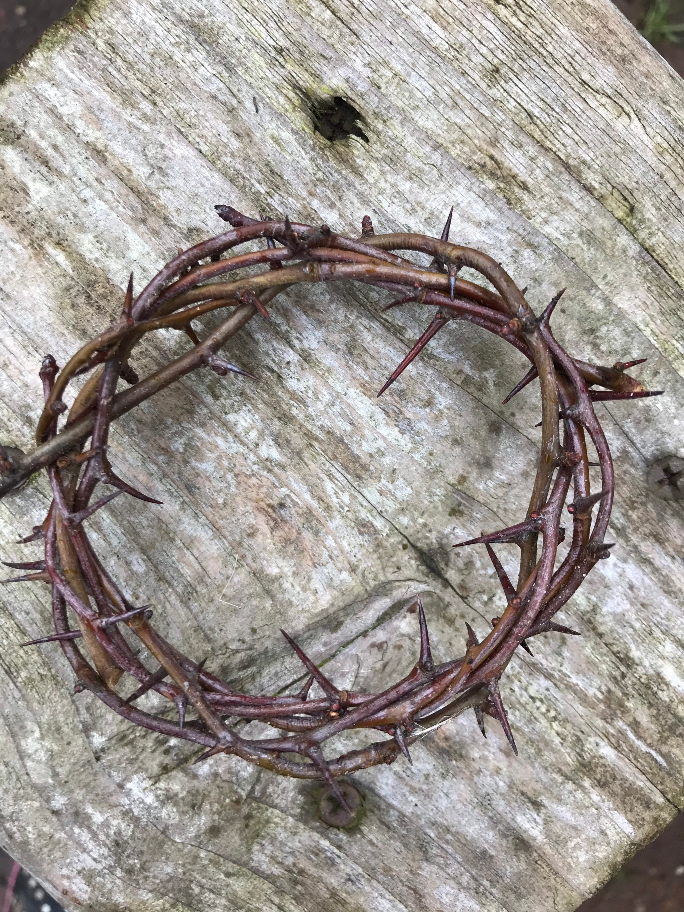 Real Handmade Thorn Crown - Etsy UK