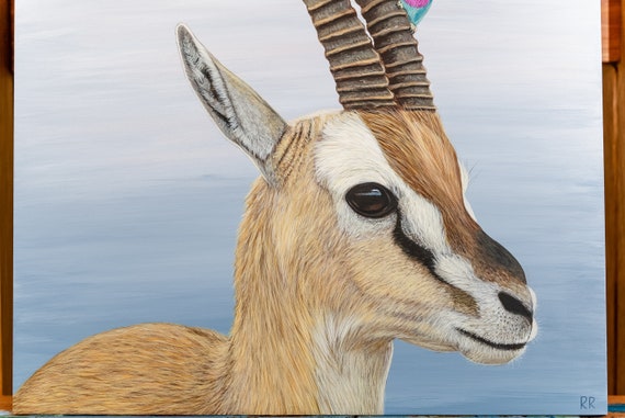 Red Gazelle Extinct