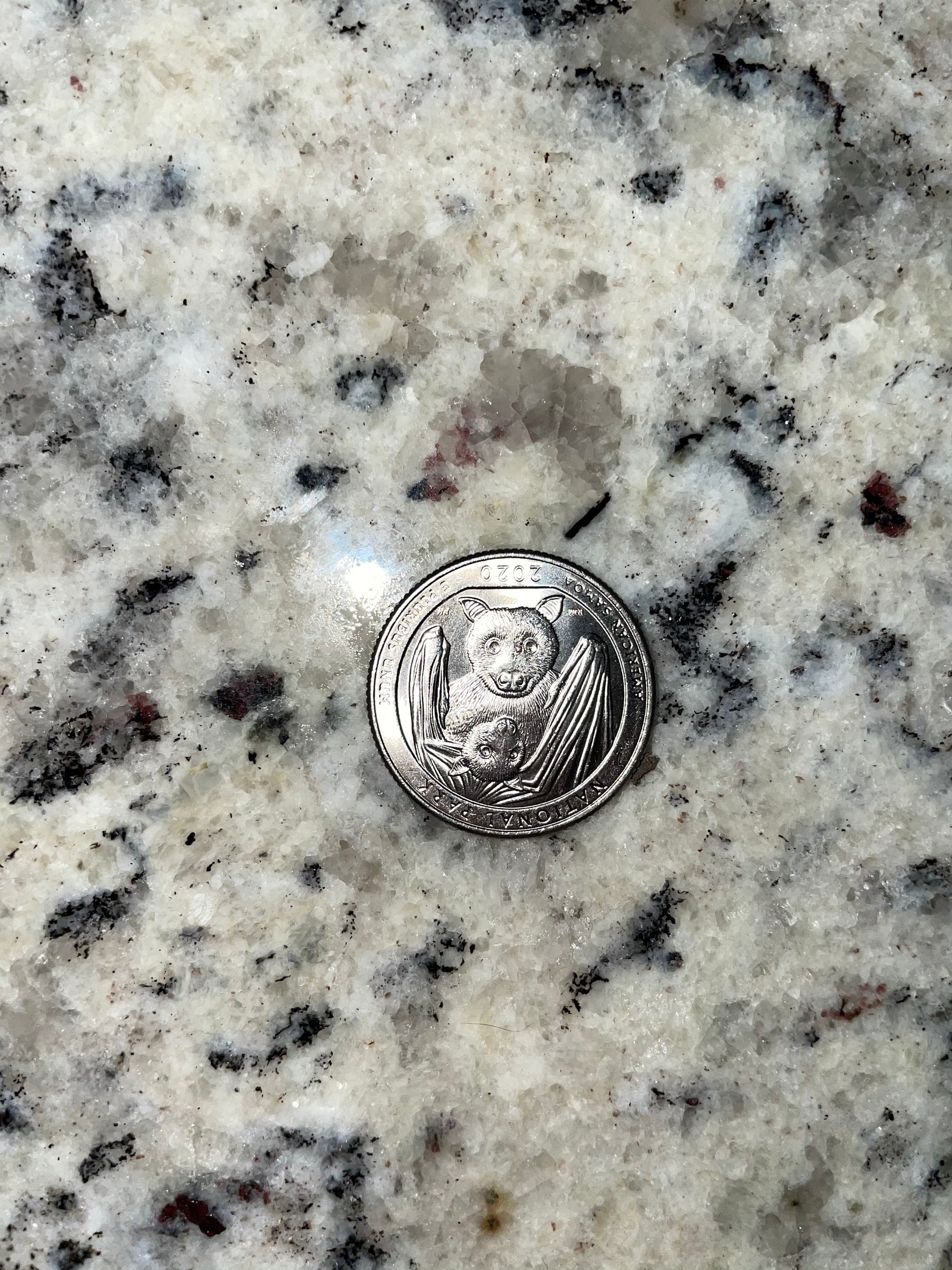 Rare 2020 National Park Fruit Bat United State Quarter - Etsy