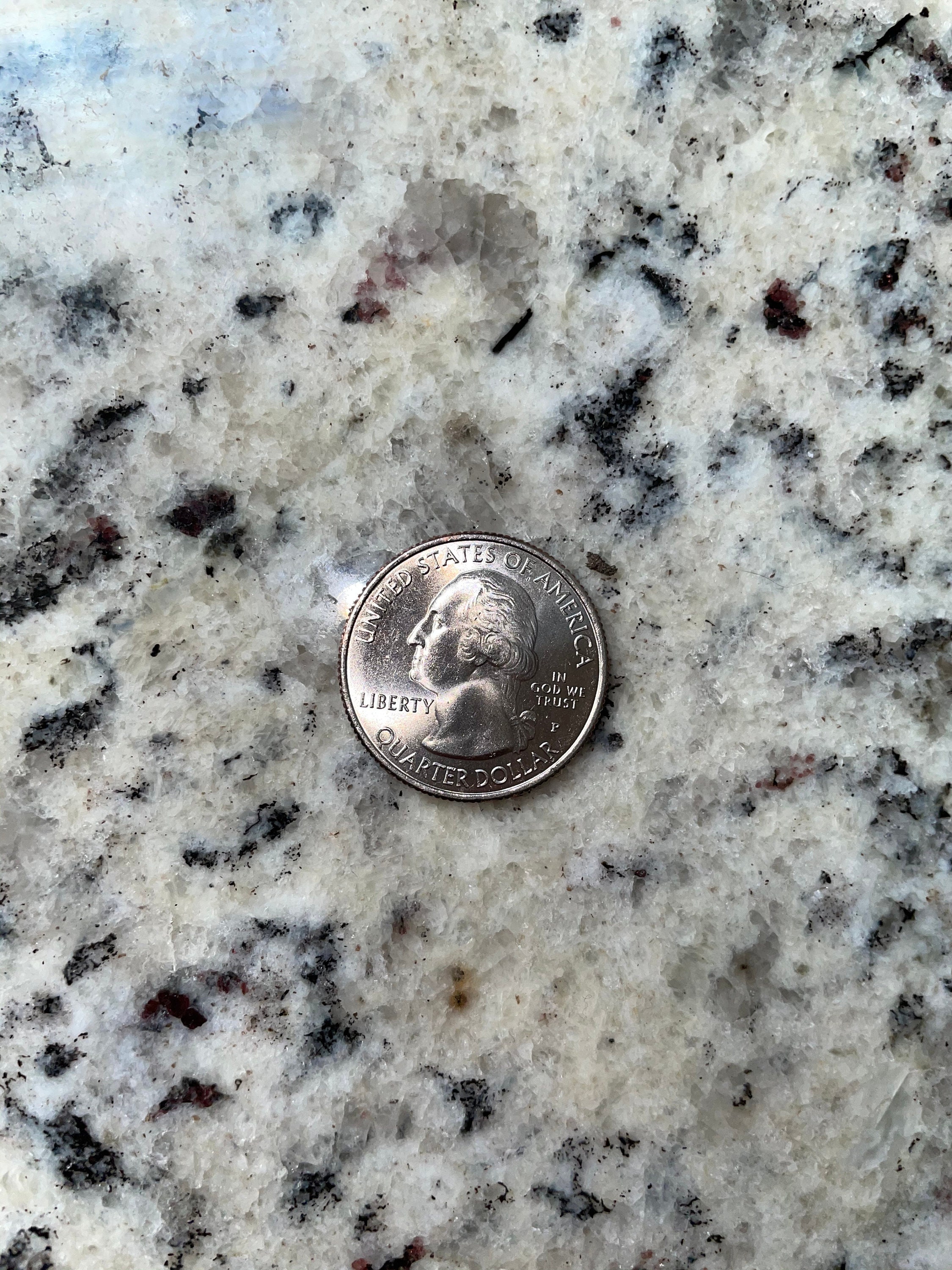 Rare 2020 National Park Fruit Bat United State Quarter - Etsy