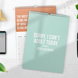 Funny 2025 Calendar Vol 3 / 2025 Calendar / A4 Calendar / Wall Calendar ...