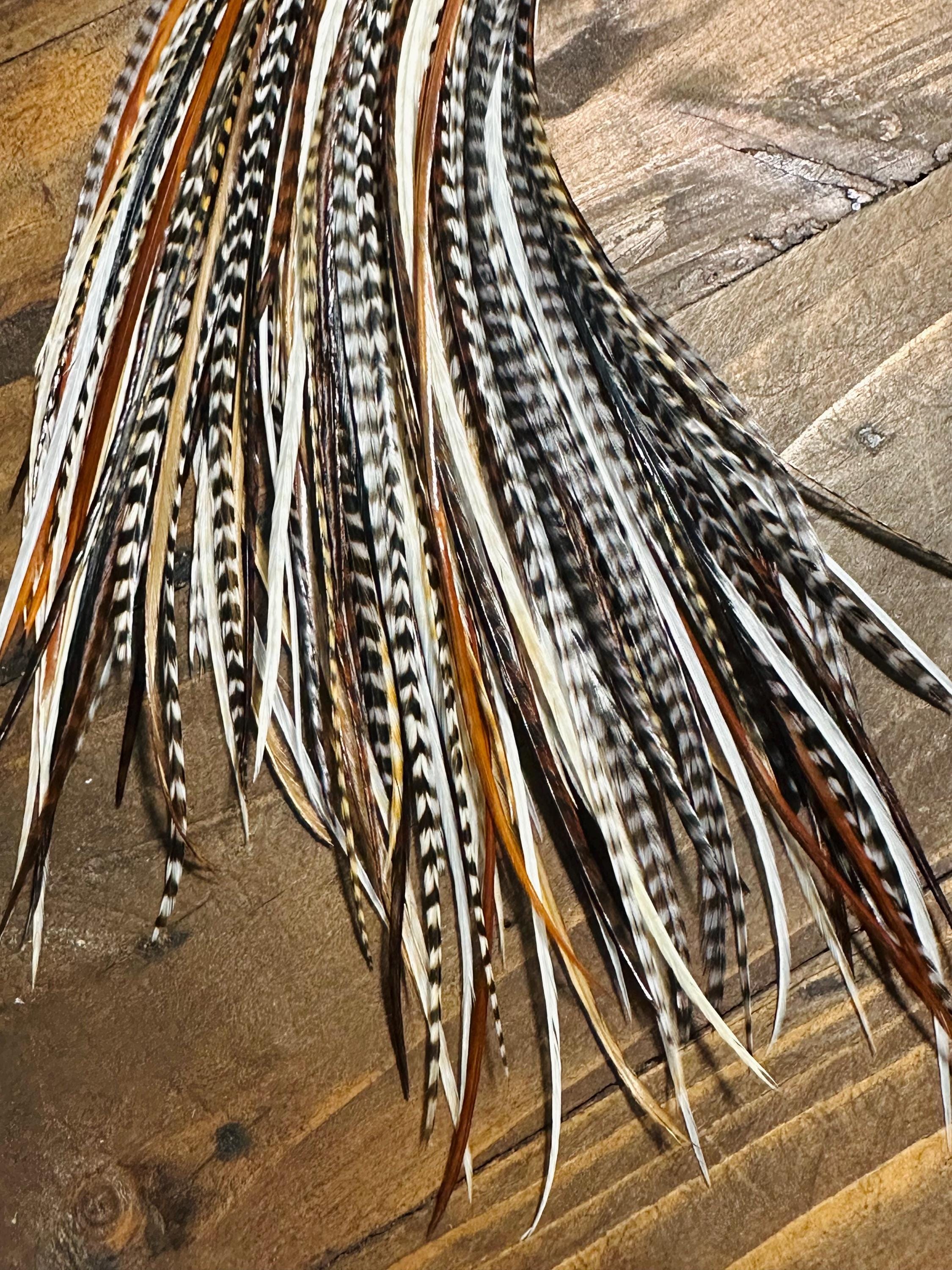 Feather Hair Extensions -skinny, Long, 10-20 Feathers + Beads and Tool ...
