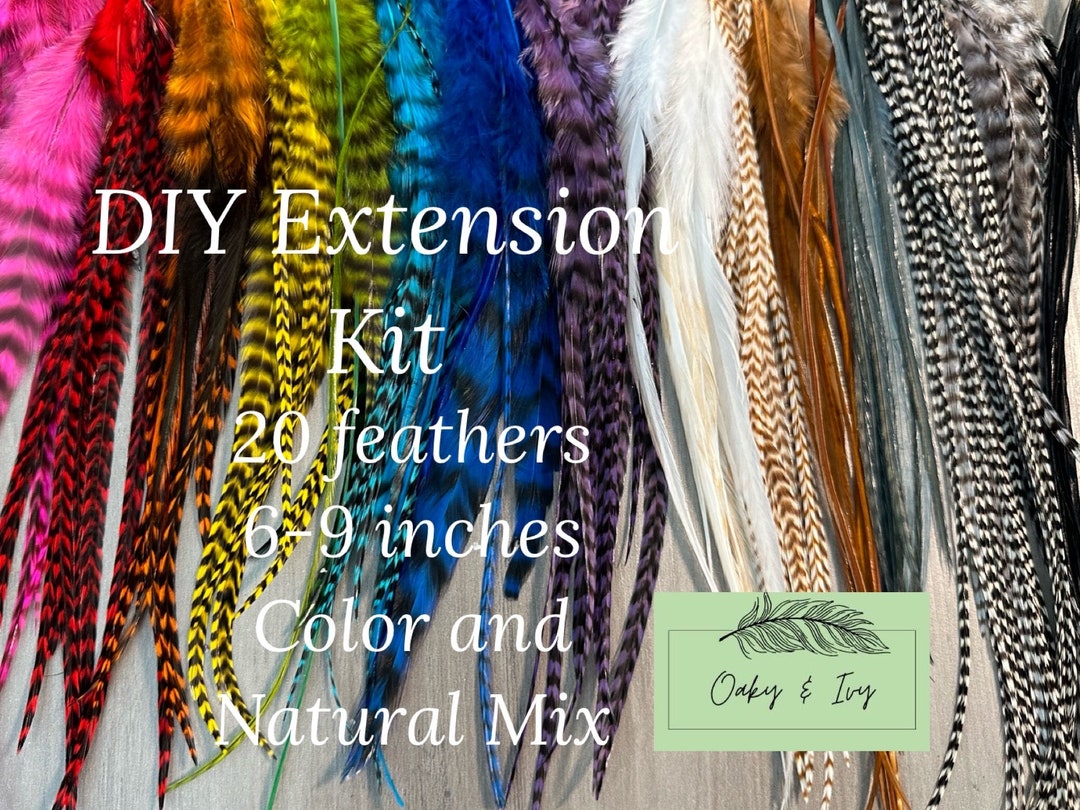 20 Feather Hair Extensions - Real Feathers + Beads + Tool DIY, 6-9 ...
