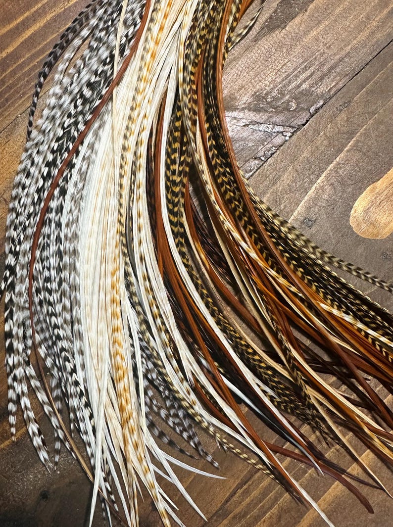 Feather Hair Extensions -skinny, Long, 10-20 Feathers + Beads and Tool ...