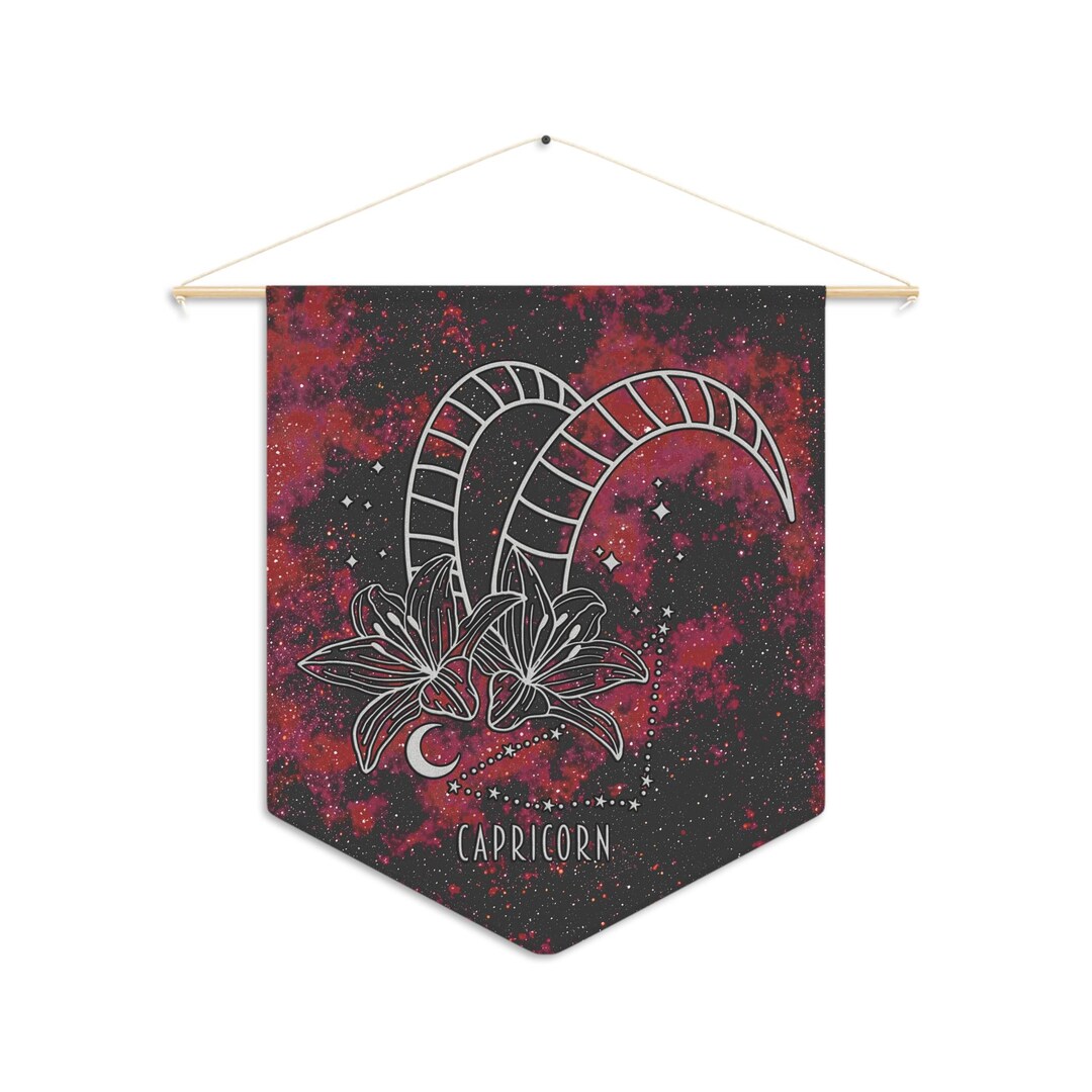 Red Capricorn Pennant Flag Zodiac Galaxy Pennant Capricorn Gift - Etsy
