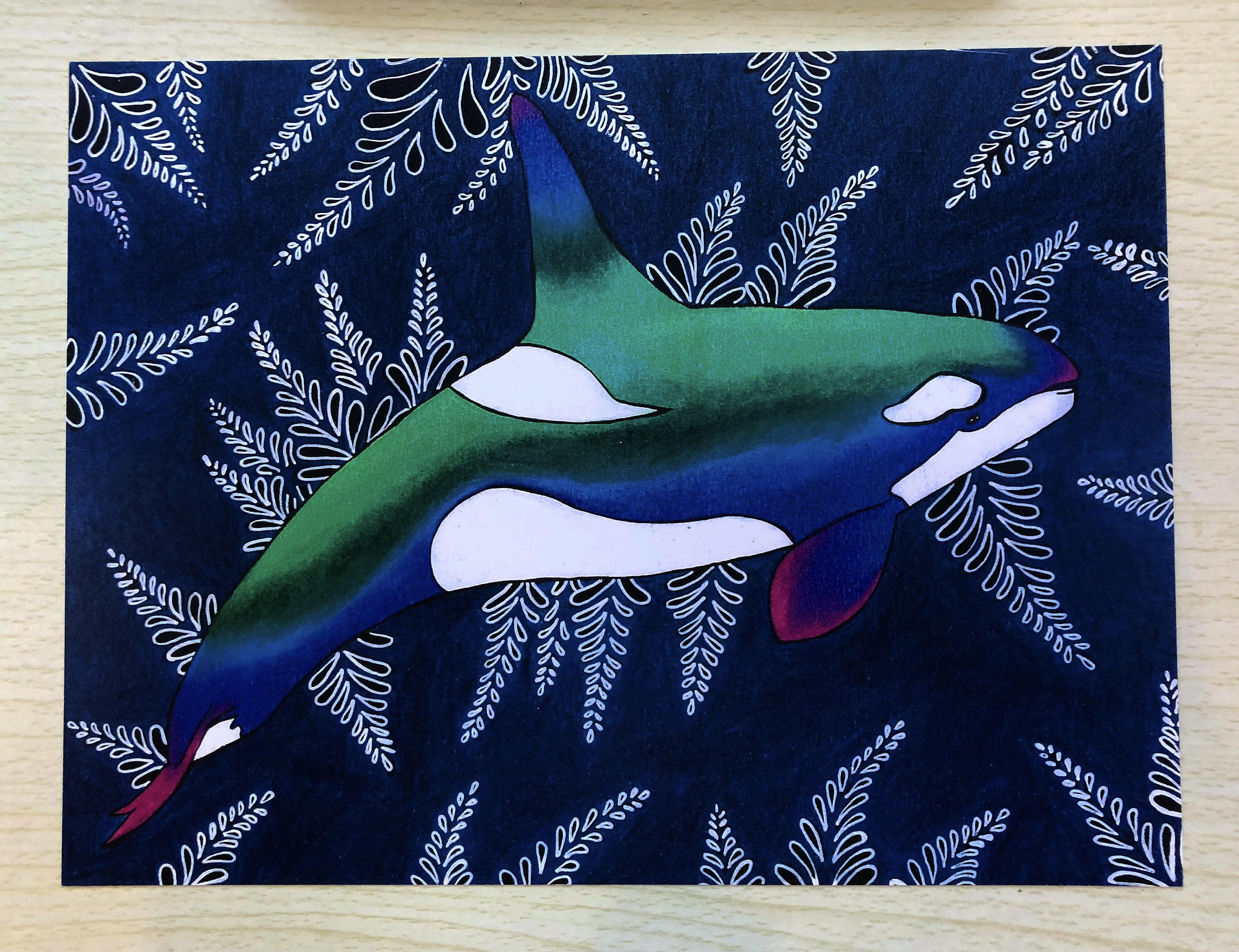 Orca Print - Etsy