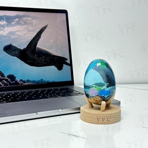 Sea Turtle Egg Cute Desk Ocean Decor, Ornaments for Room, Office ...