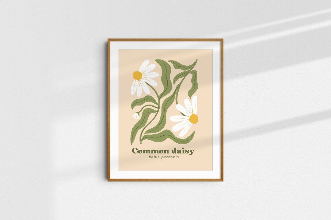 Common Daisy Art Print - Etsy