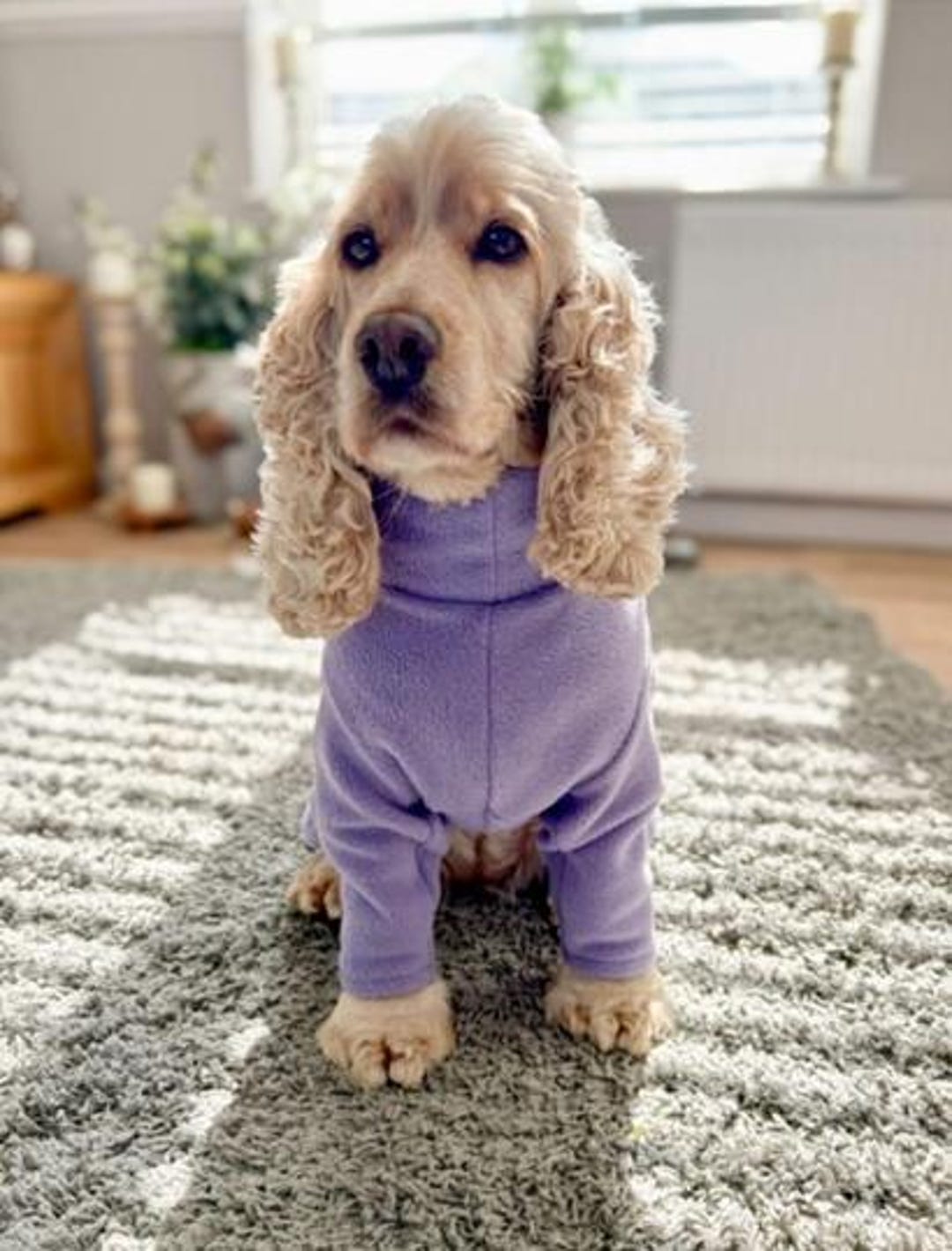 Custom Polar Fleece Dog Suit: Embroidered Lilac Jumpsuit - Etsy