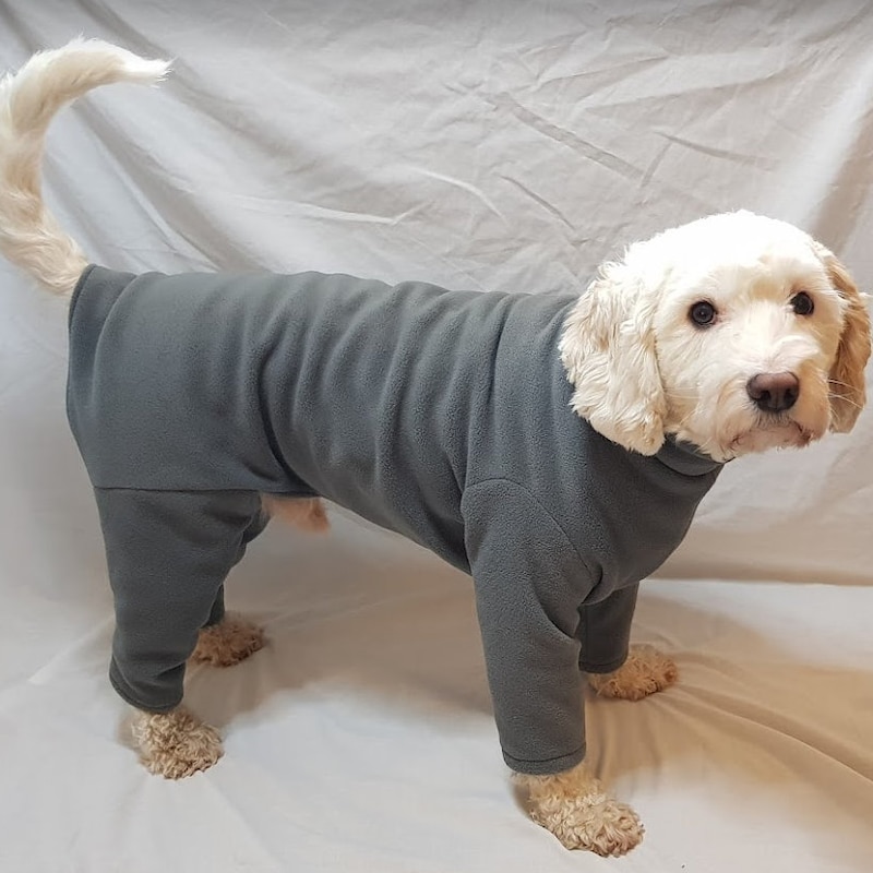 Dog Suit - Etsy