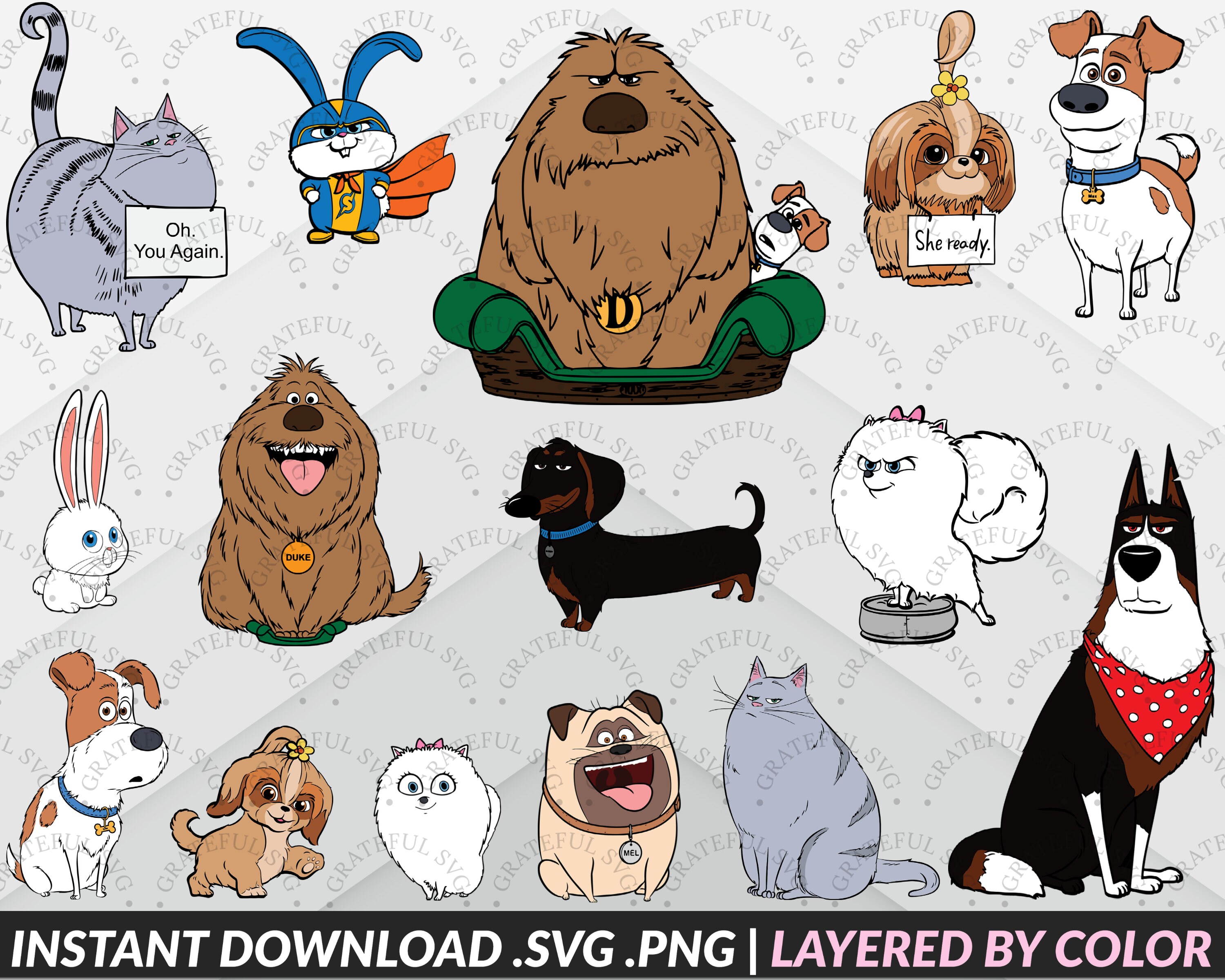 The Secret Life of Pets SVG Bundle / la vida secreta de las | Etsy