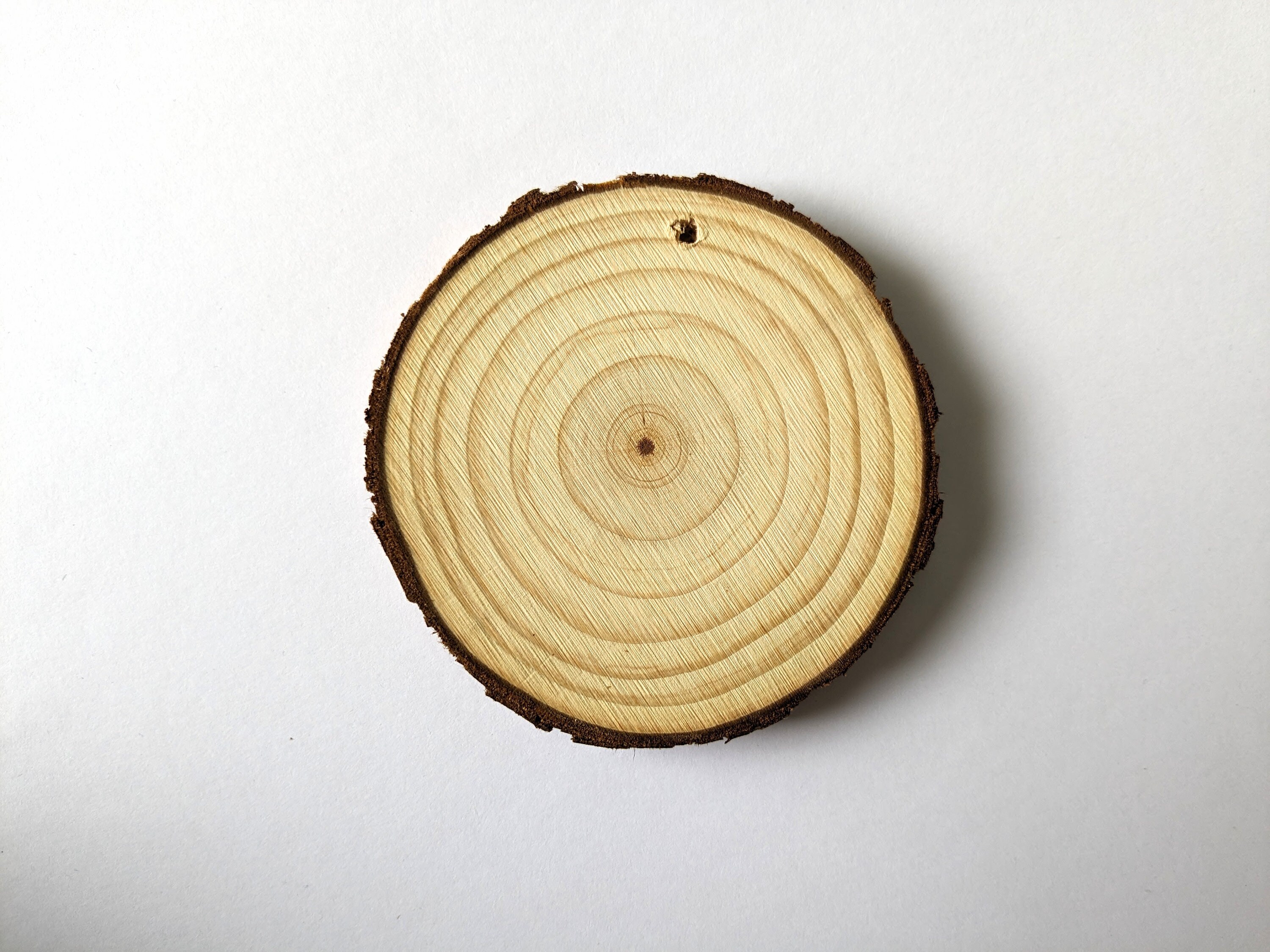 Snow White Wood Slice Wood Slice Art Snow White Hanging - Etsy