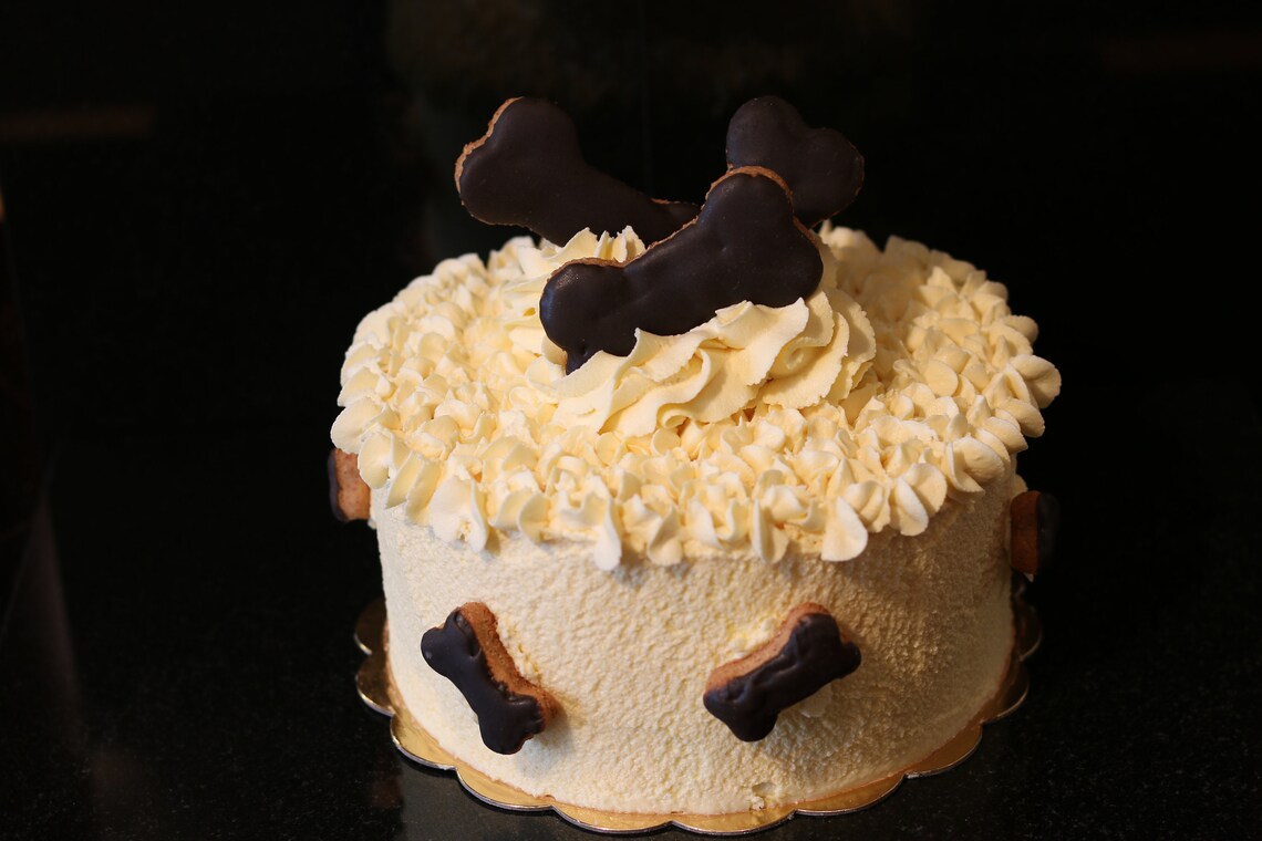 Dog Birthday Cake With Chocolate Bones / Birthday Cake for Dogs - Etsy