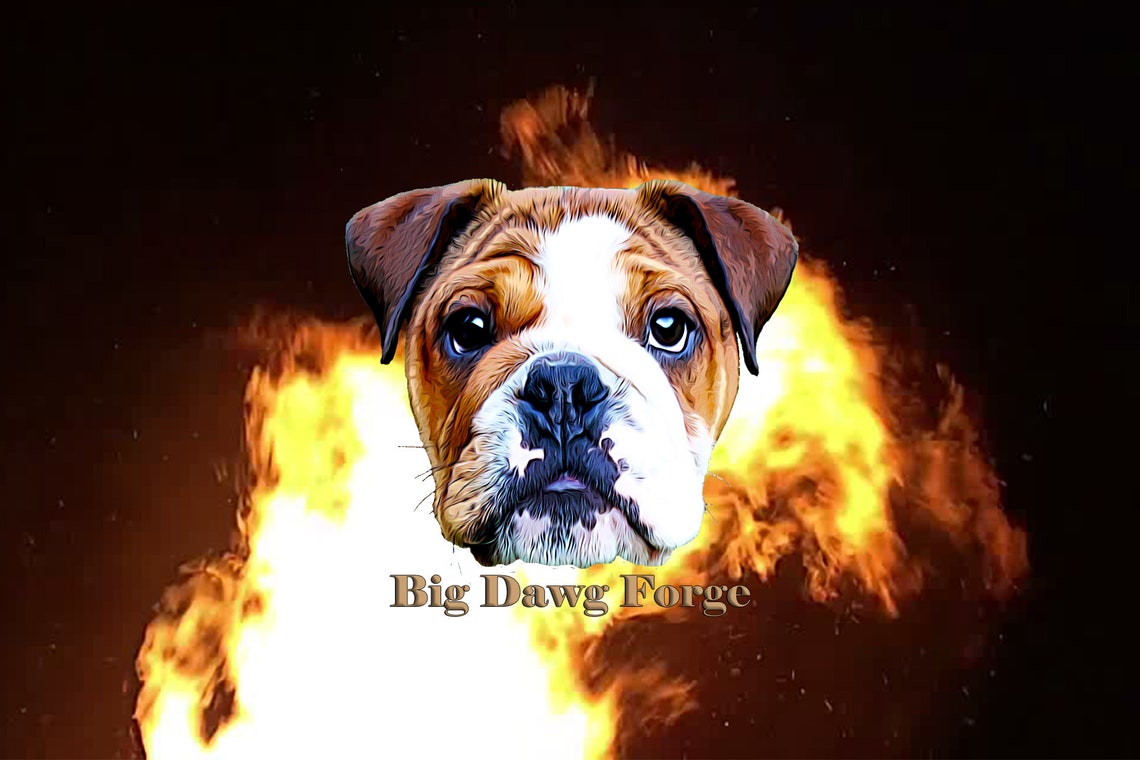 WFC Neutron Assault Rifle Transformers Weapon Kit - Etsy