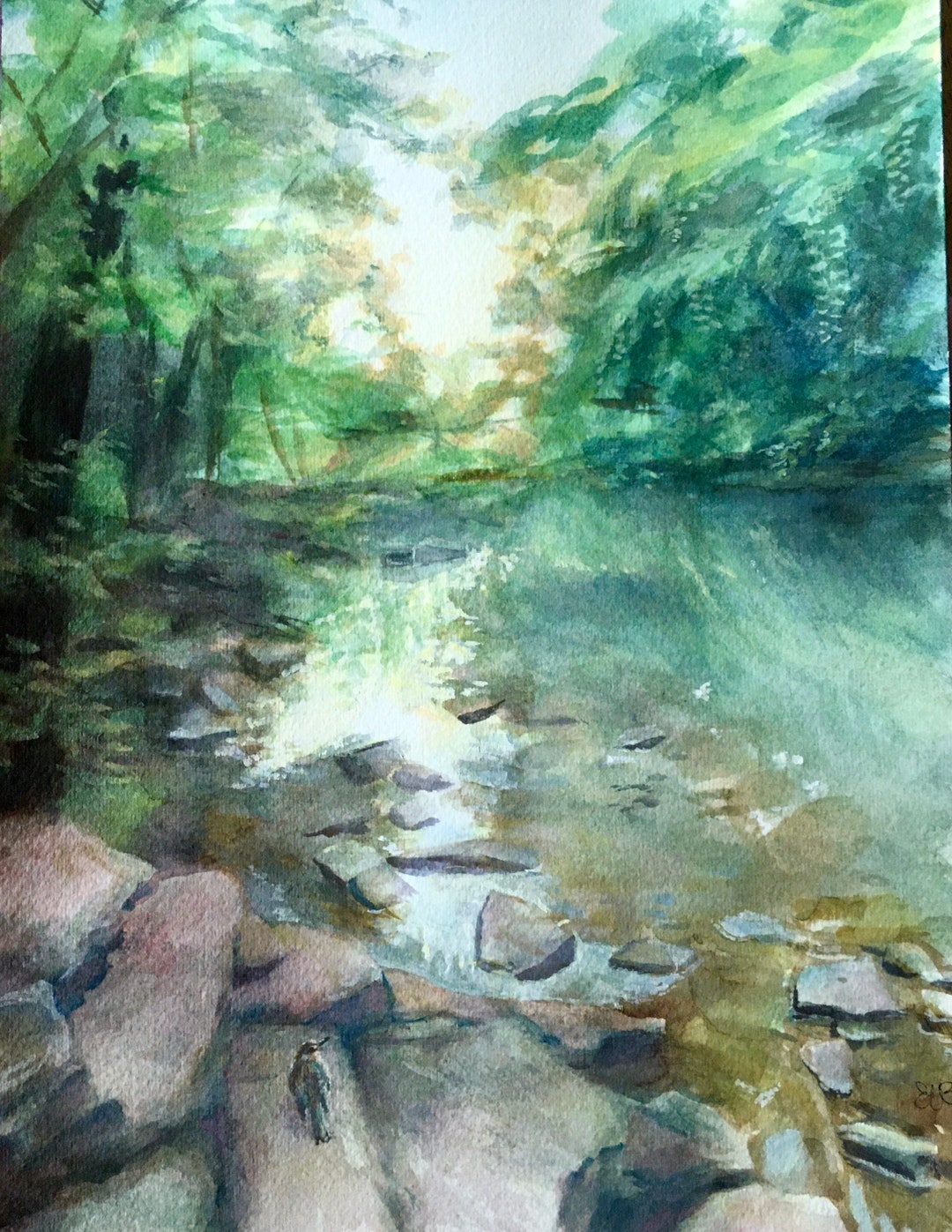 Sunlit Creek - Etsy