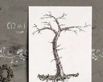 Bare Tree Sketch - Etsy