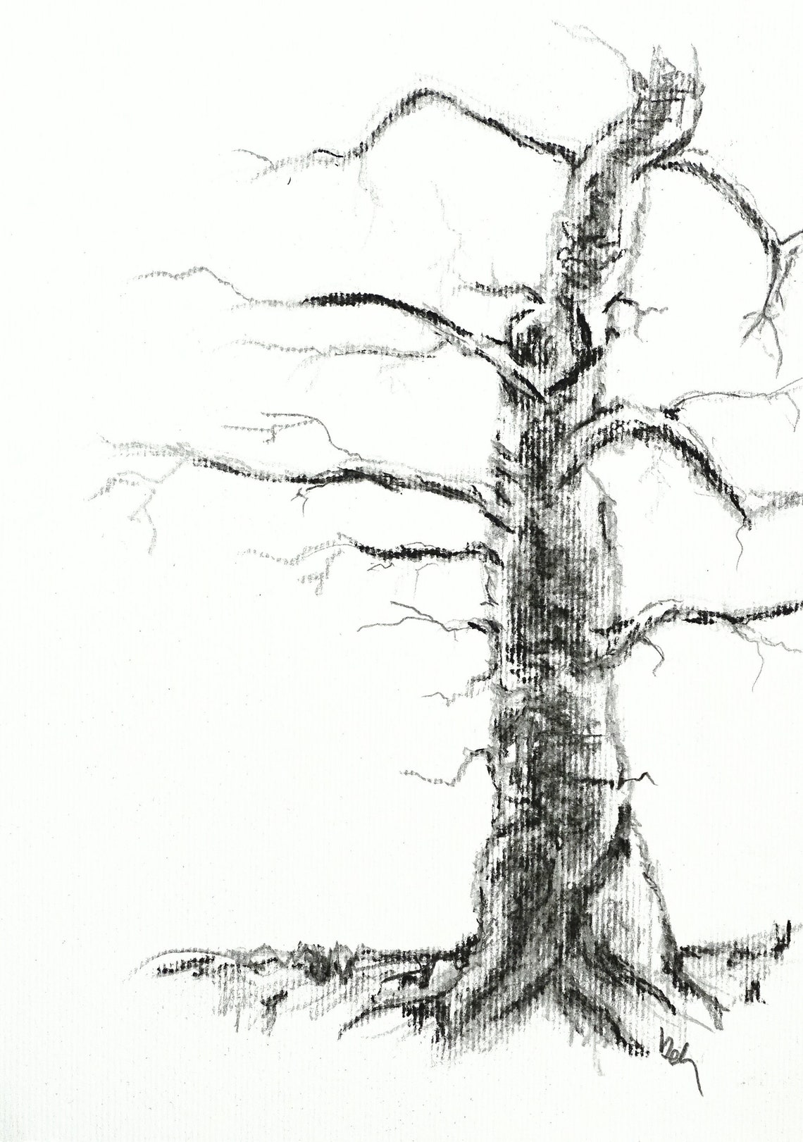Original Sketch Tree Artwork, Minimalist Abstract Tree Drawing Pencil ...