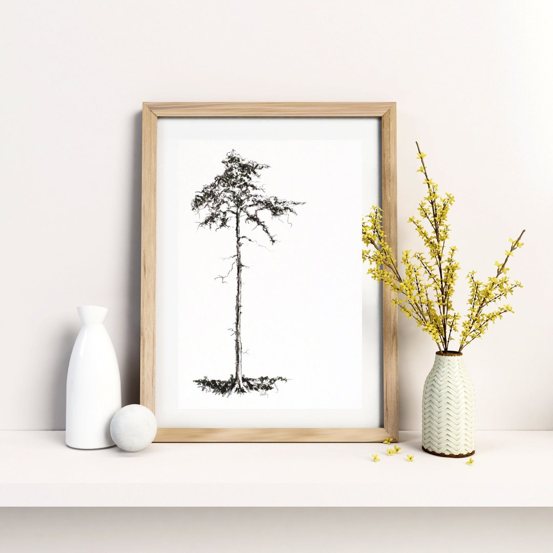 Original Pine Tree Sketch, Pine Tree Portrait, Charcoal Tree ...