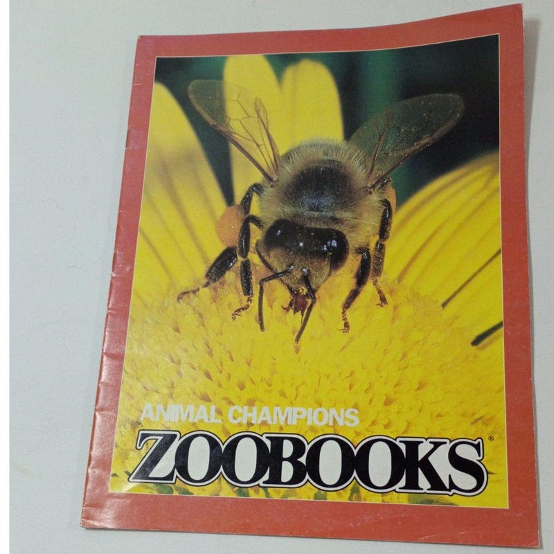 Zoobooks - Etsy