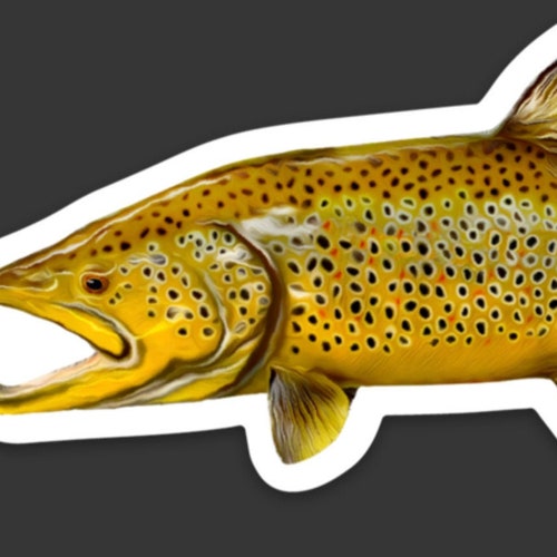 Brown Trout Sticker Decal Designed by Morgan Brown - Etsy
