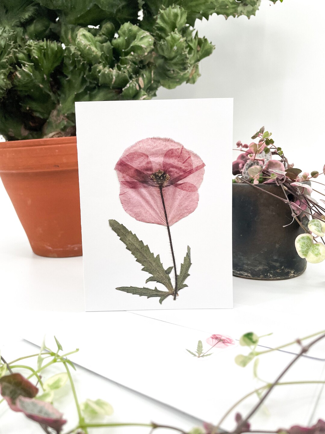 Poppy Pressed Flower Blank Greeting Card Greeting Card Flower Card ...
