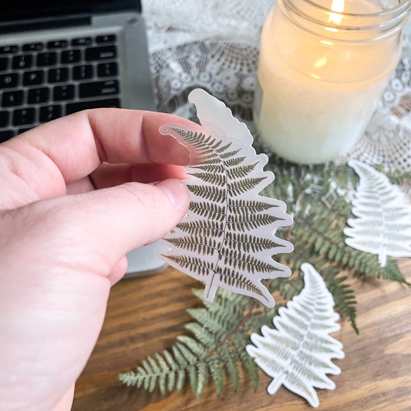 Fern Gift - 60+ Gift Ideas for 2024