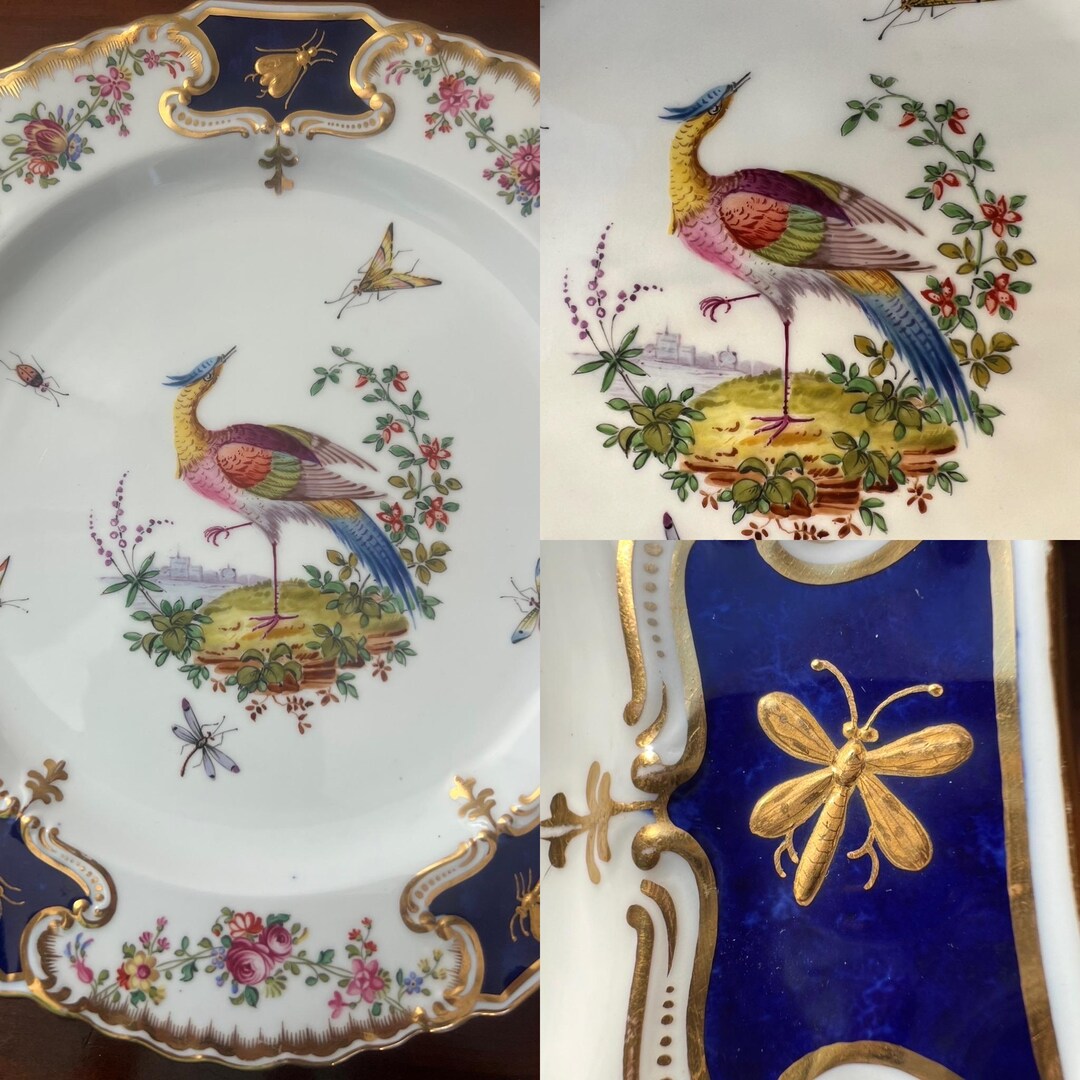 Antique 1800's C-200 Copeland Chelsea Exotic Bird Hand Paint Raised ...